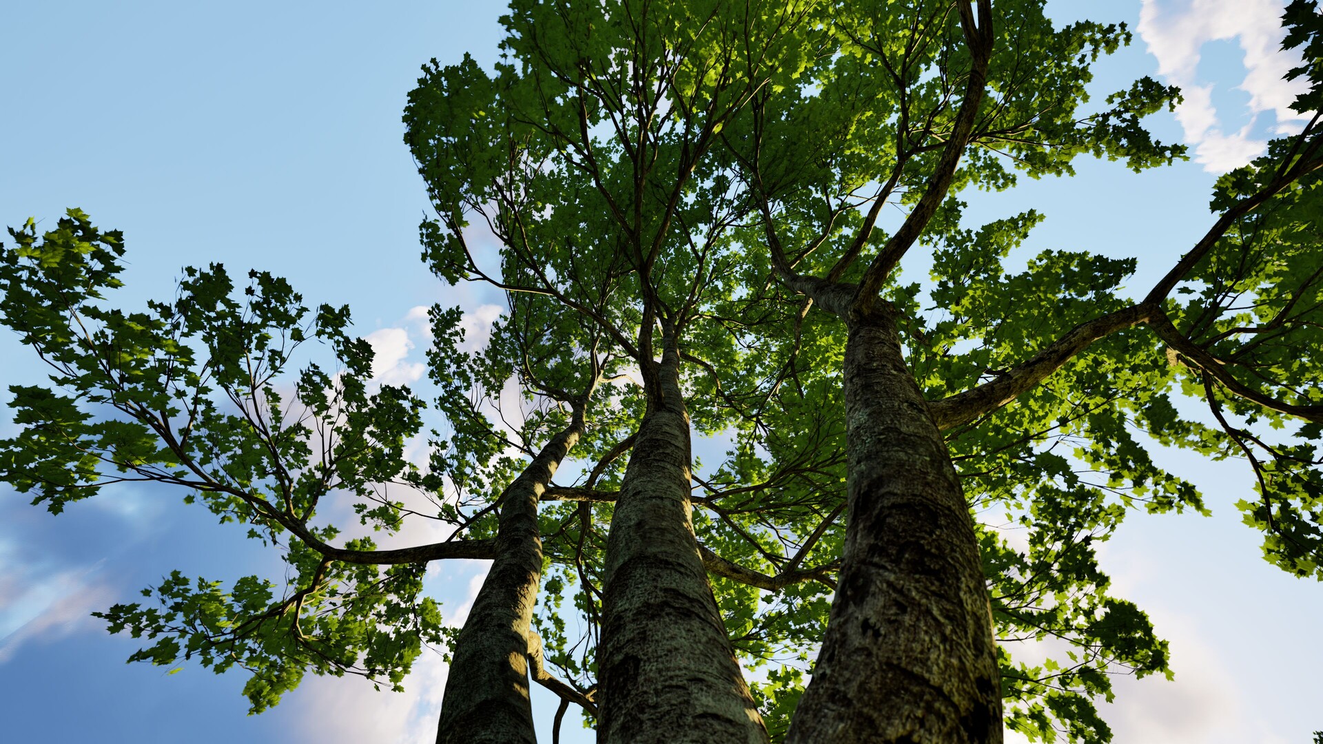 Benjamin Koch - UE5.3 | Trees Vol. 5 Maple Trees | Ultra Realistic Wind ...