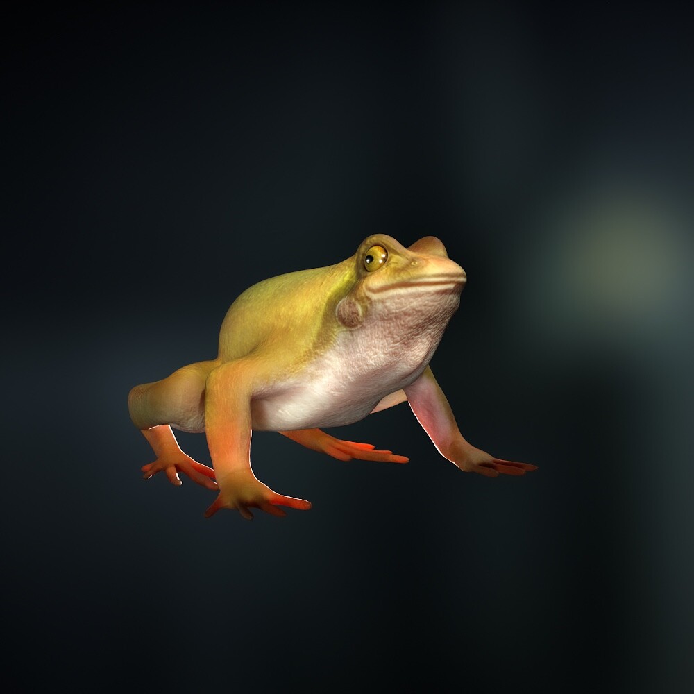 ArtStation - Frog
