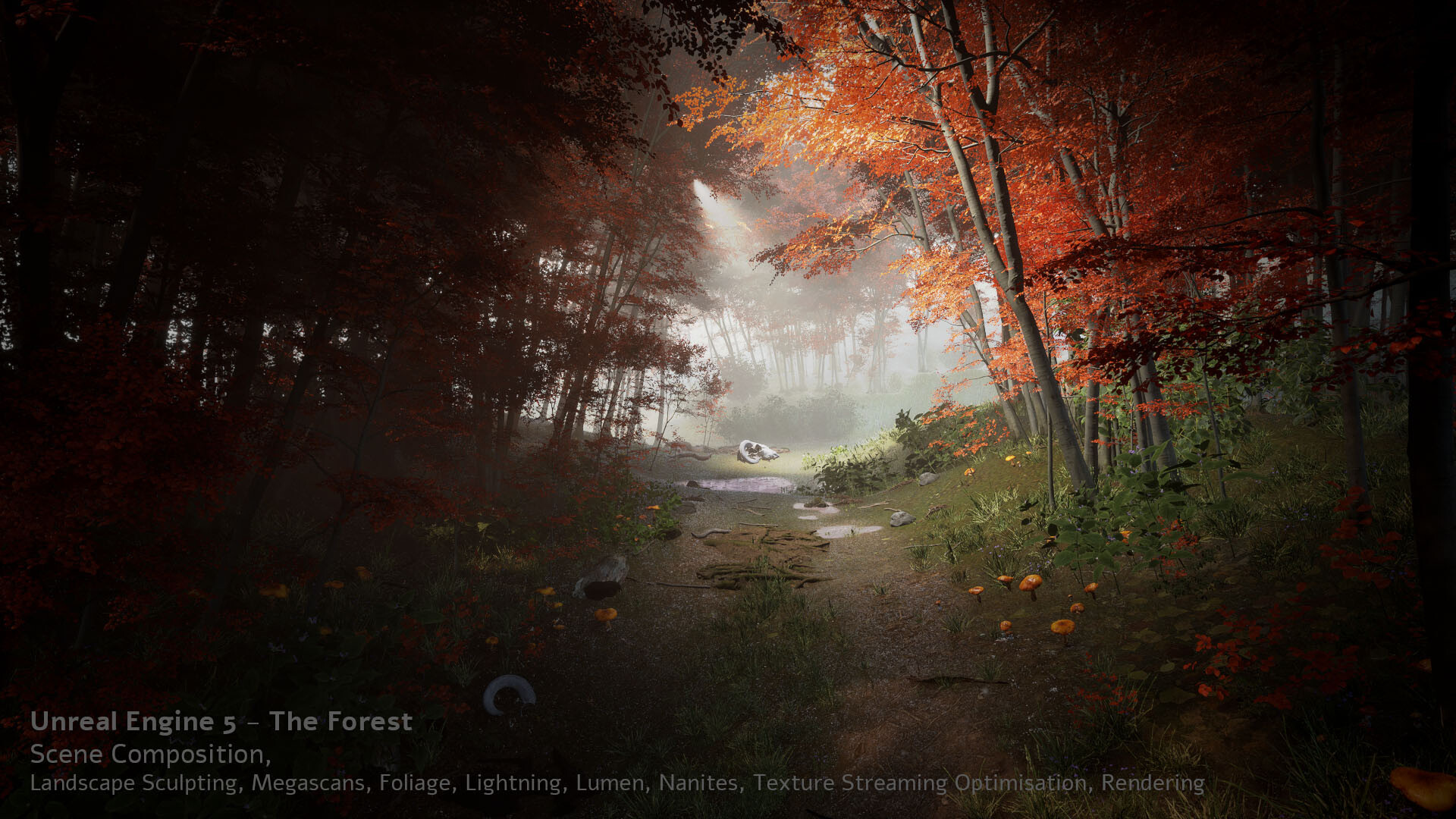 ArtStation - The Path