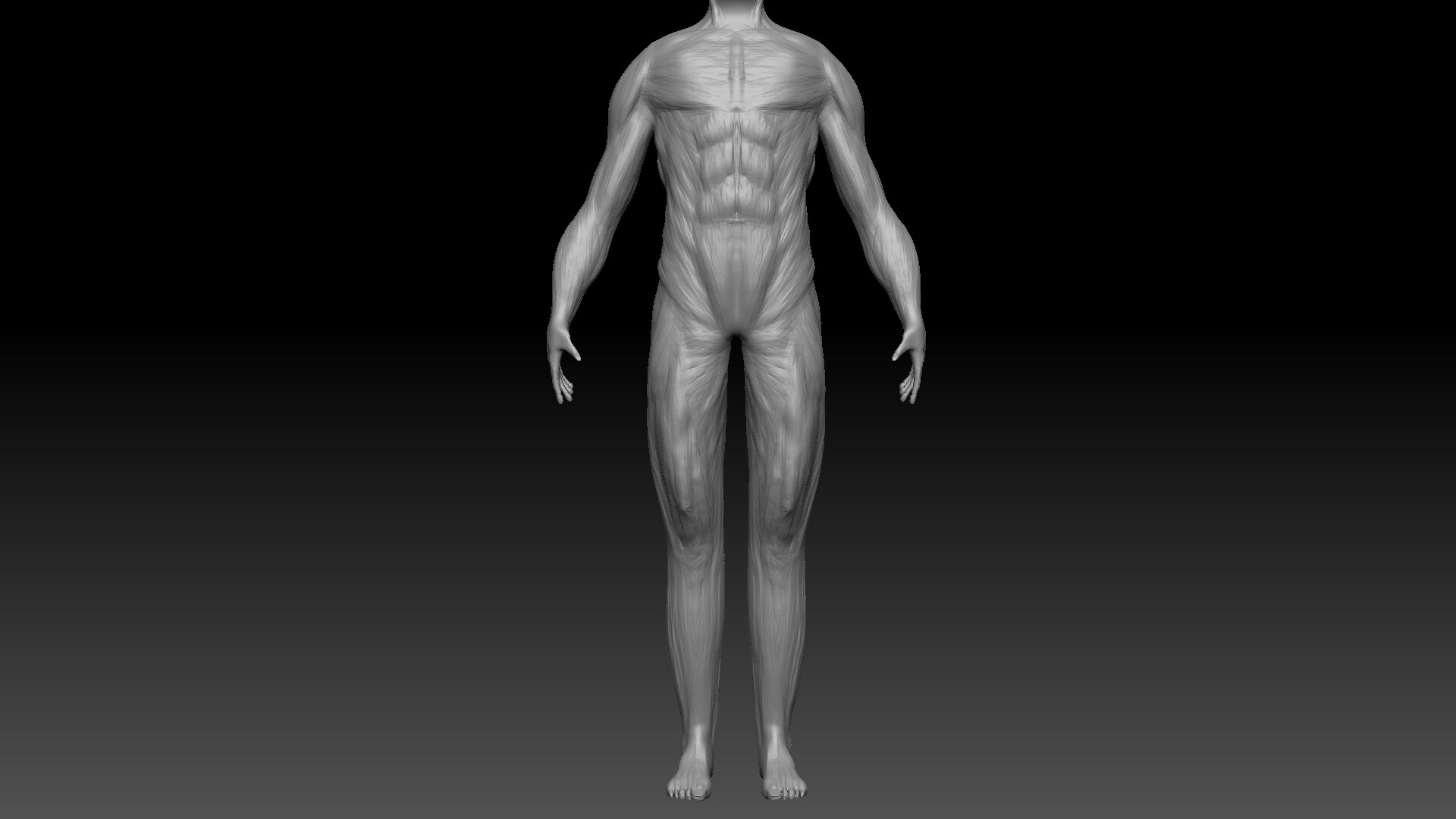 ArtStation - Jacob Male Anotomy