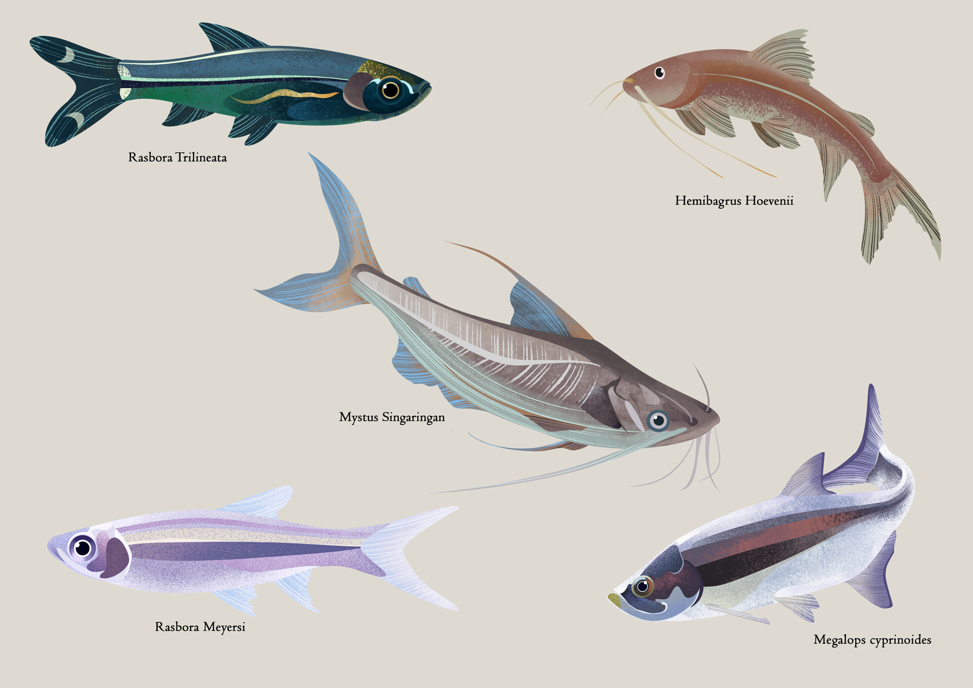 ArtStation - Fish Illustration