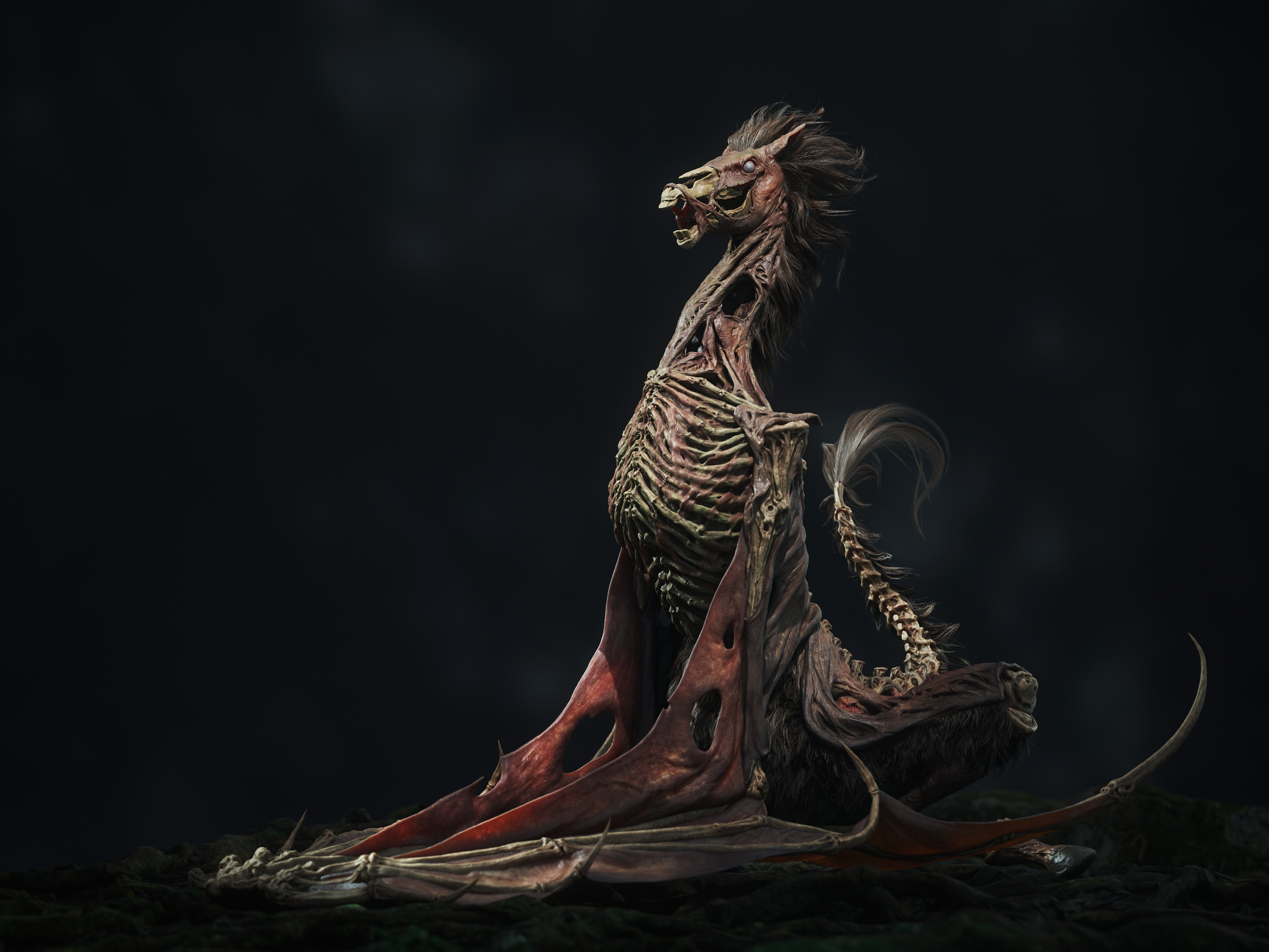 tingwei-liu-finalpre-main-01.jpg (3840×2880)