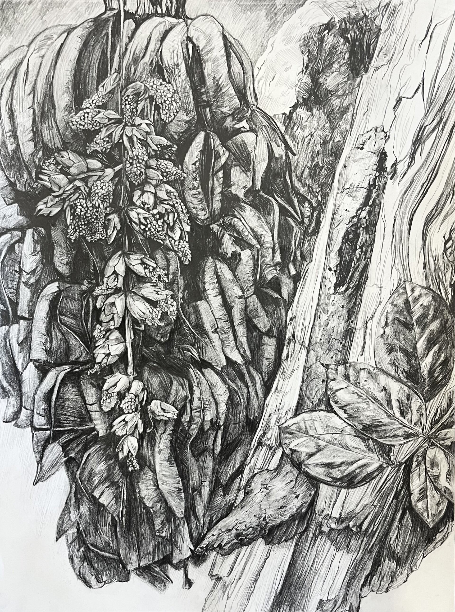 ArtStation - Texture Study