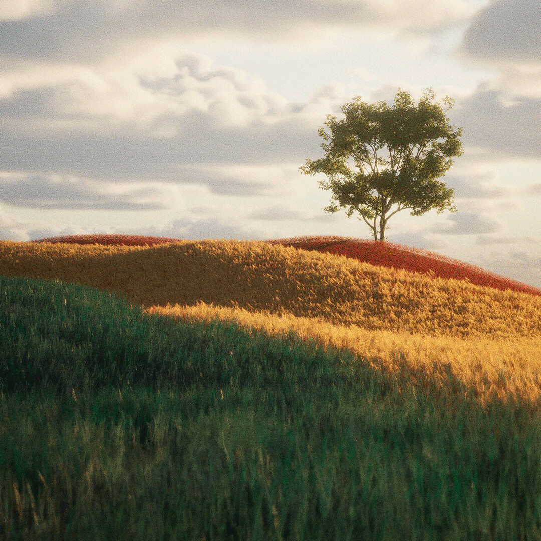 ArtStation - Colored Fields