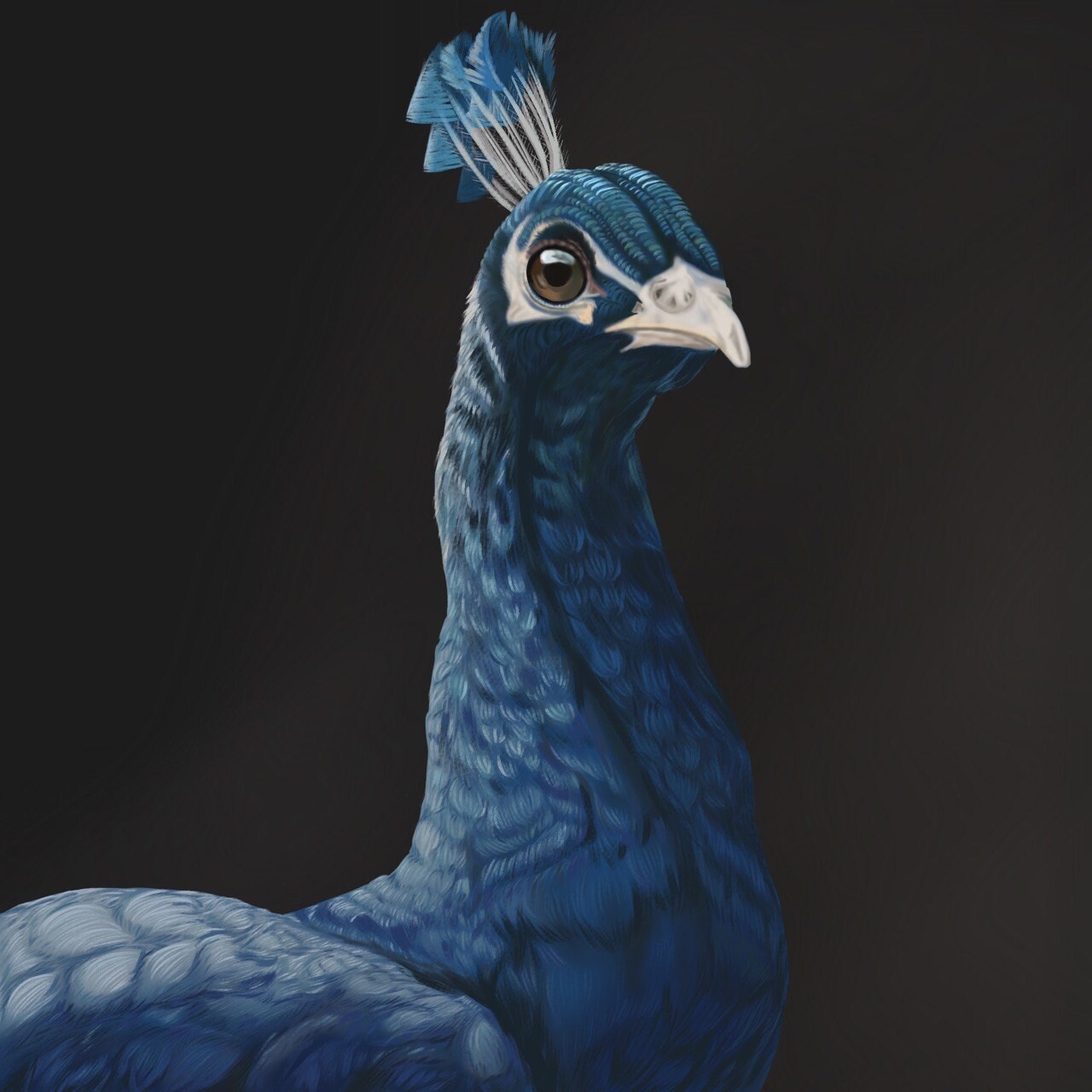 ArtStation - Peacock Mark