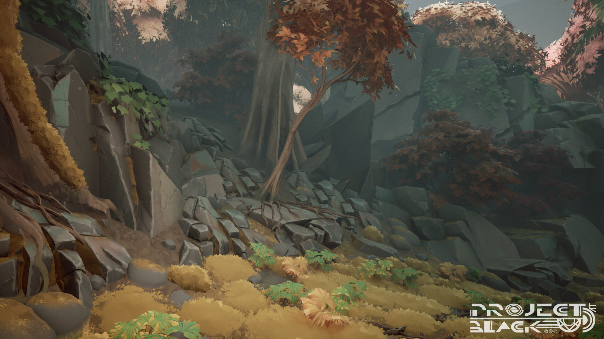 Felix Pietzsch - Project Black - Rock Shader