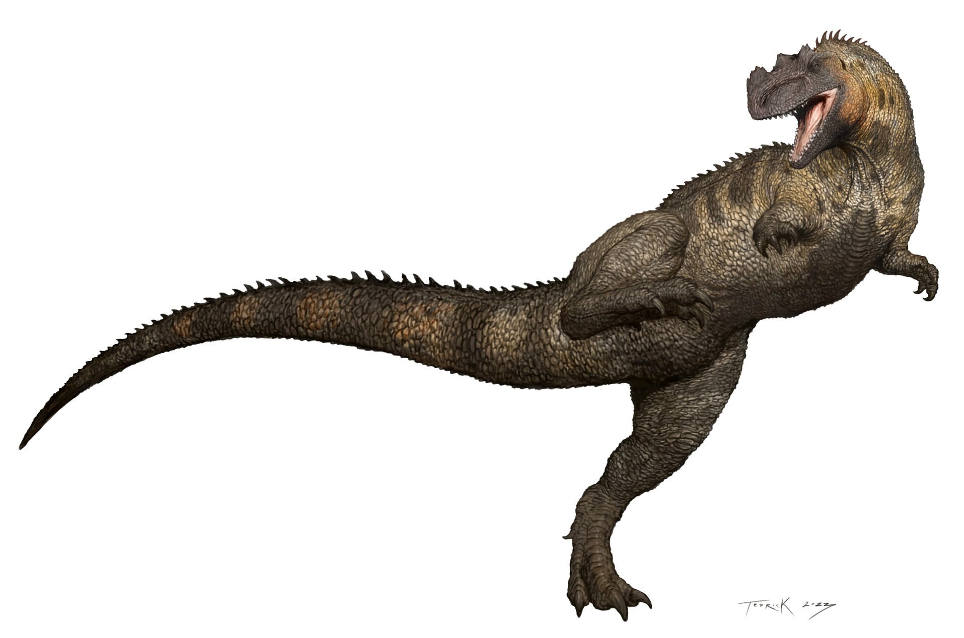 ArtStation - Dinosaurs-- Ceratosaurus