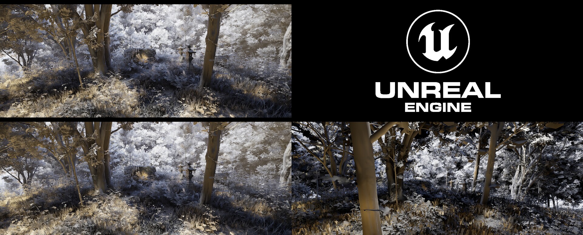 Kumar Sayan Barui - Forest Environment