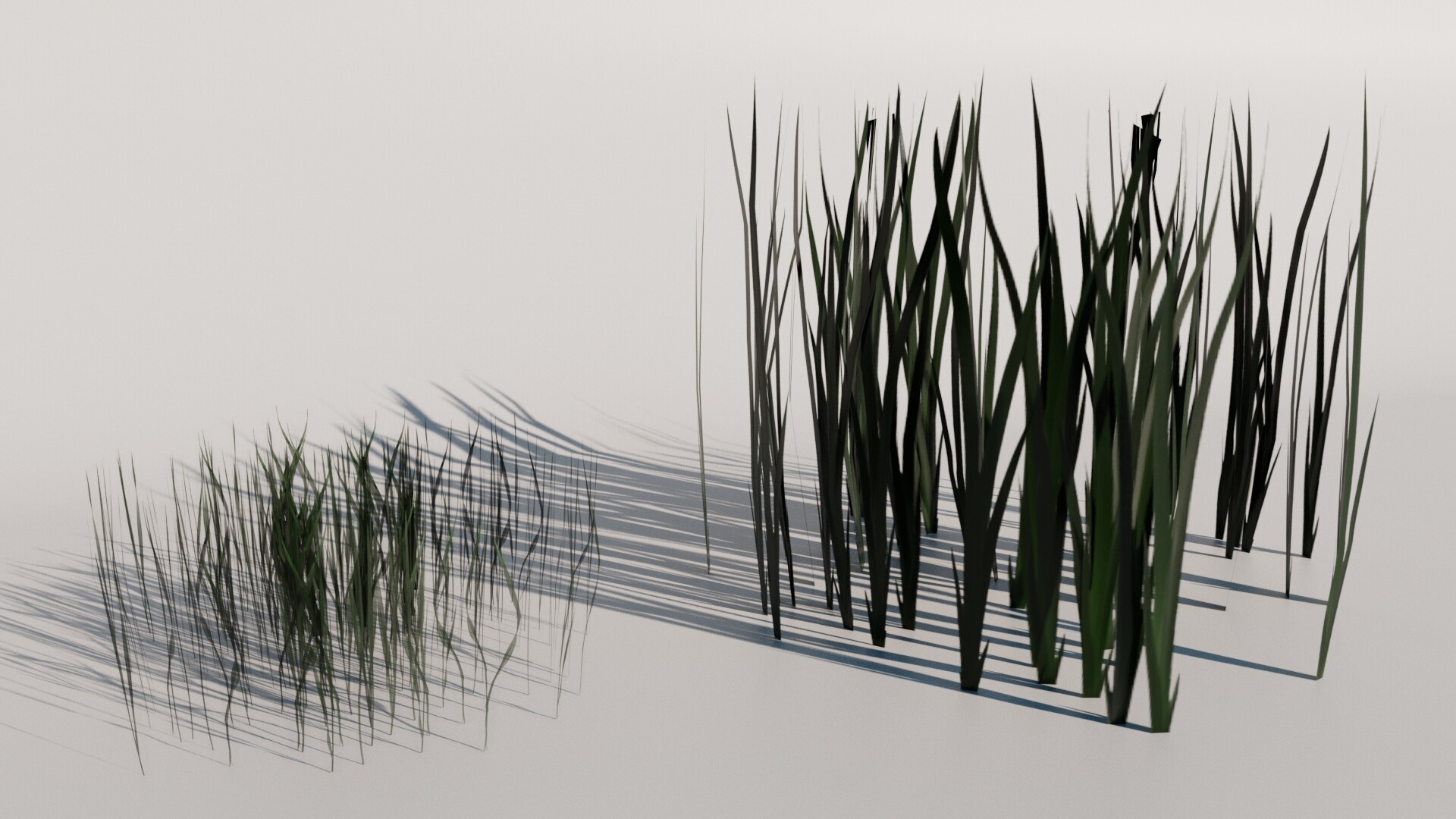 Raphaël Surette - Whittle Escape