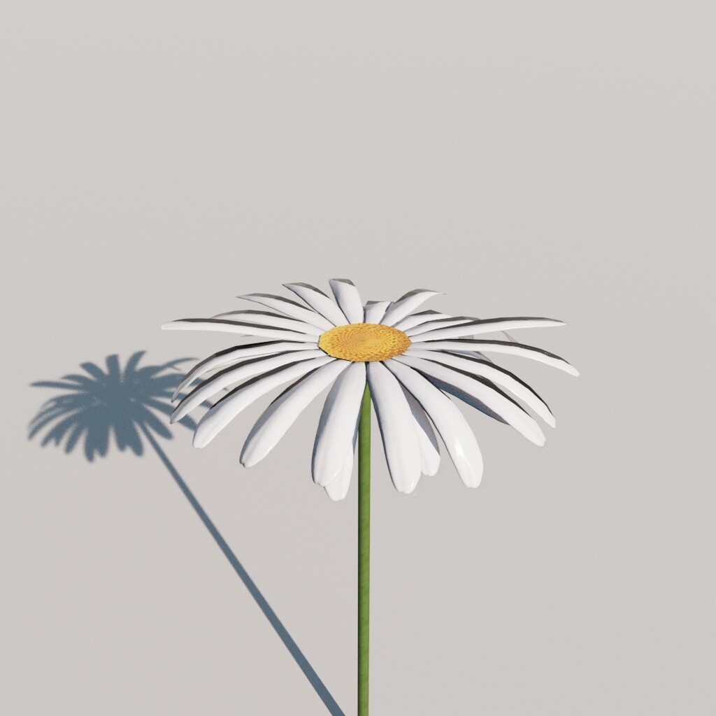 Raphaël Surette - Whittle Escape