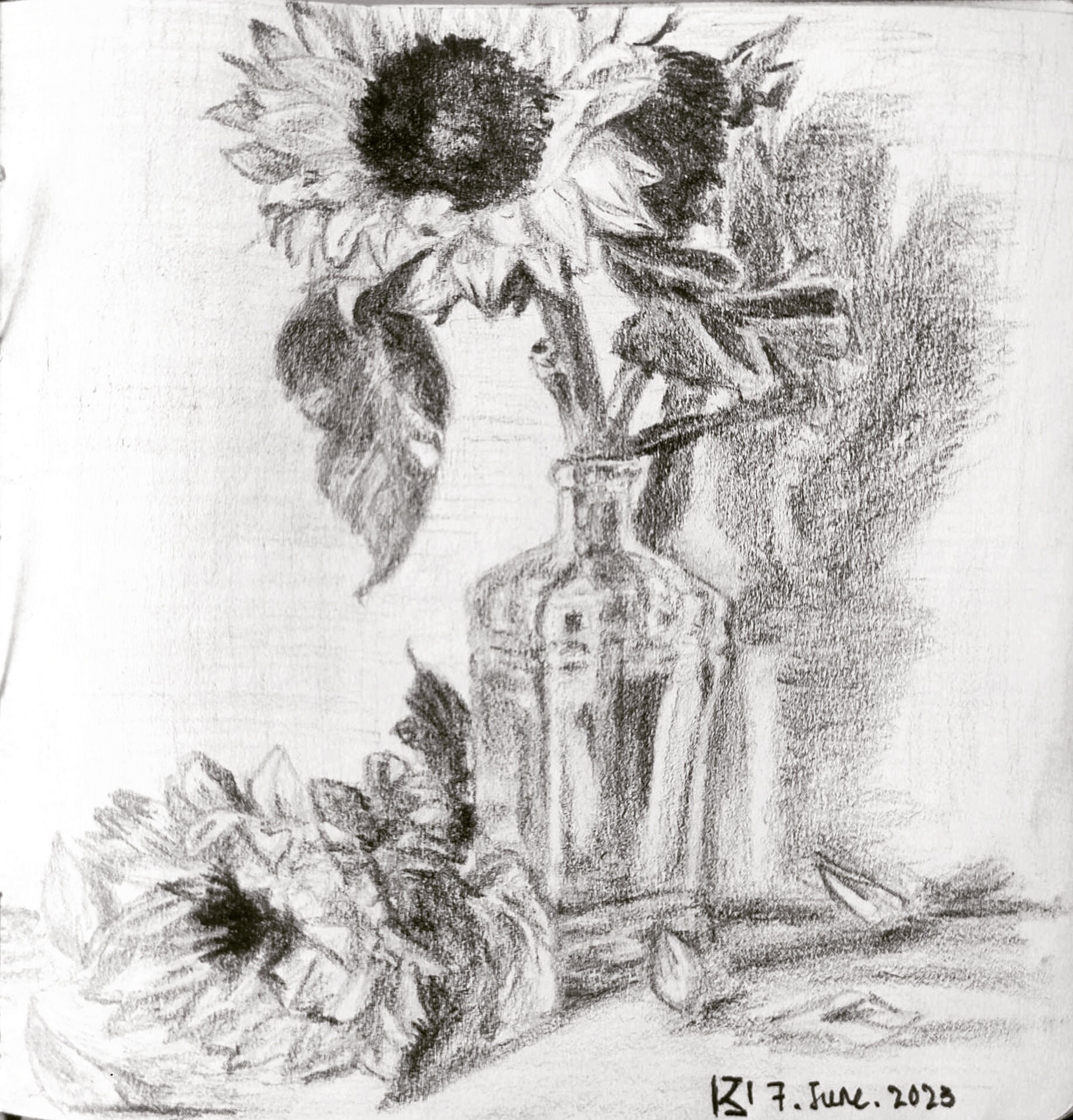 ArtStation - Mini Sketch / Still Life Practice