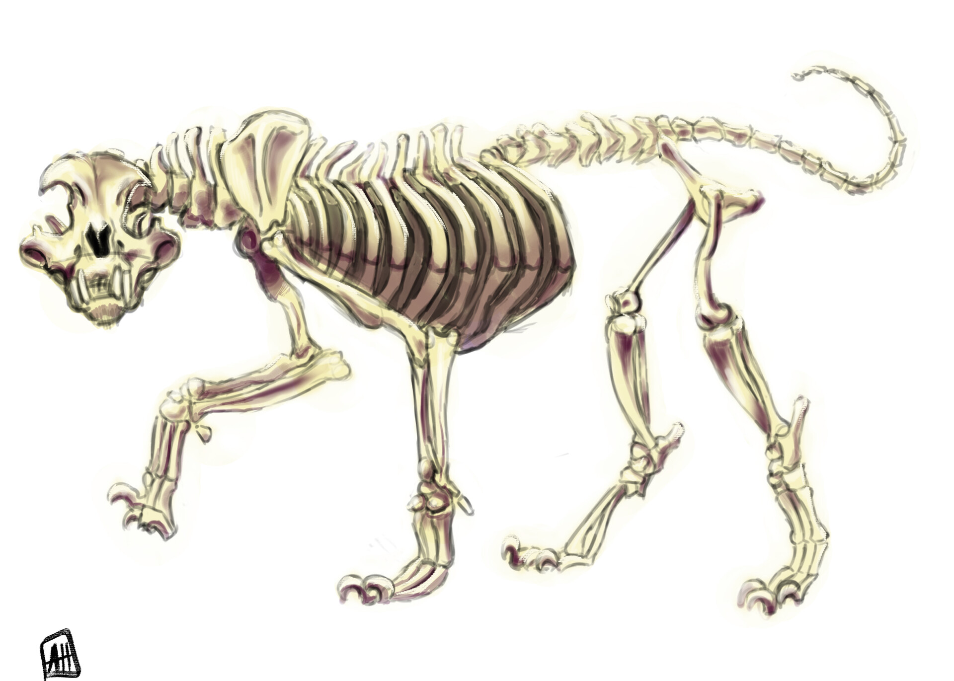 ArtStation - Jaguar bone study