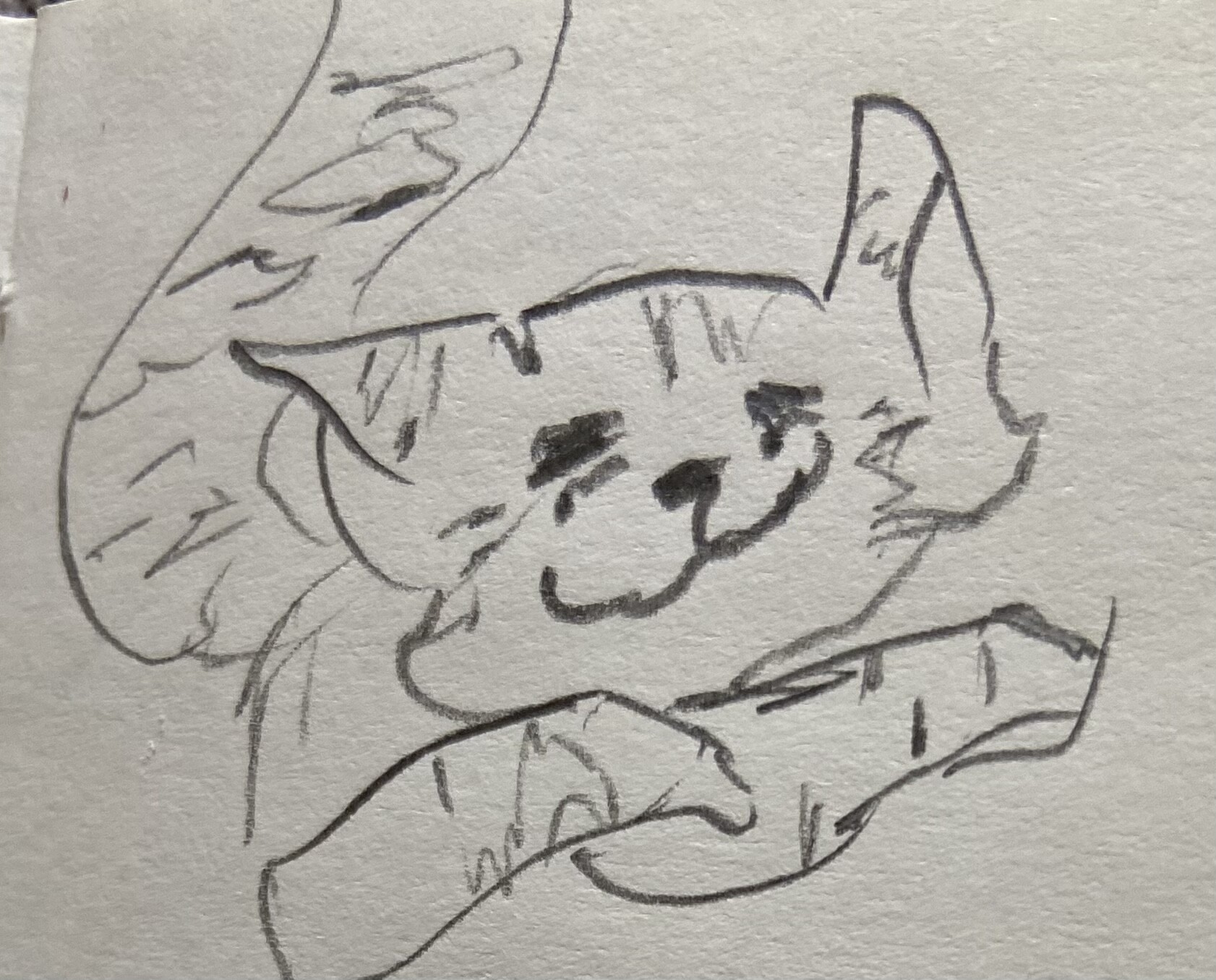 ArtStation - Cat doodle. Enjoy