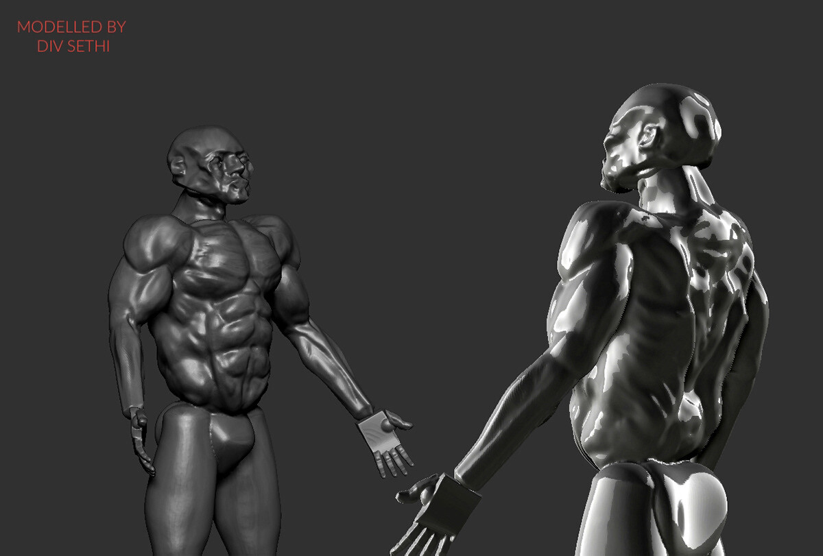 ArtStation - Anatomy 3D Model