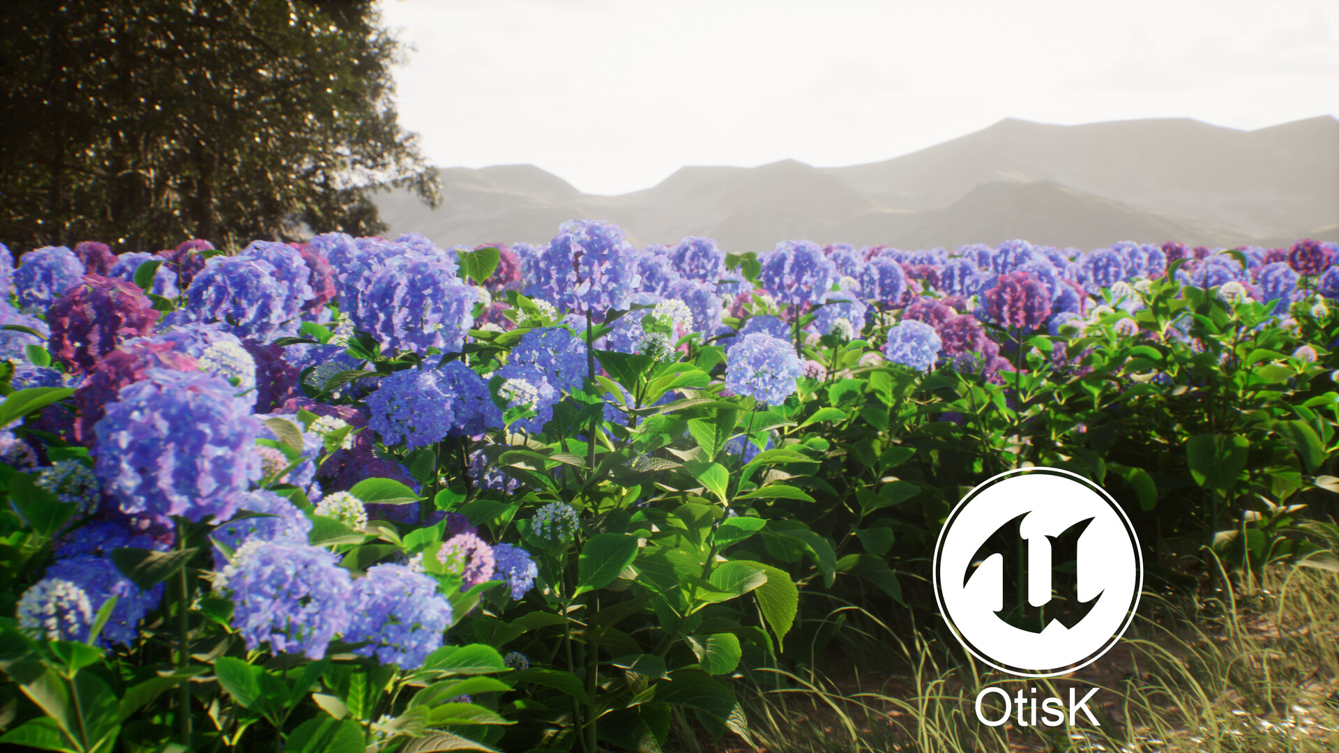 Otis K - Morning - Hydrangea Garden Unreal Engine 5, SpeedTree