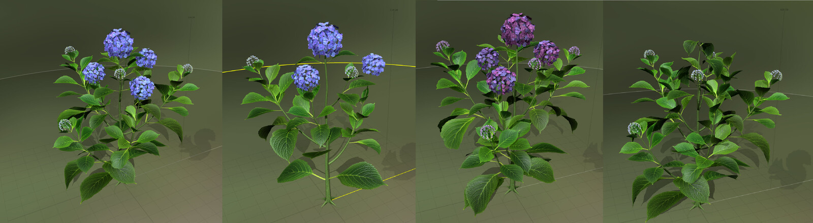Otis K - Morning - Hydrangea Garden Unreal Engine 5, SpeedTree