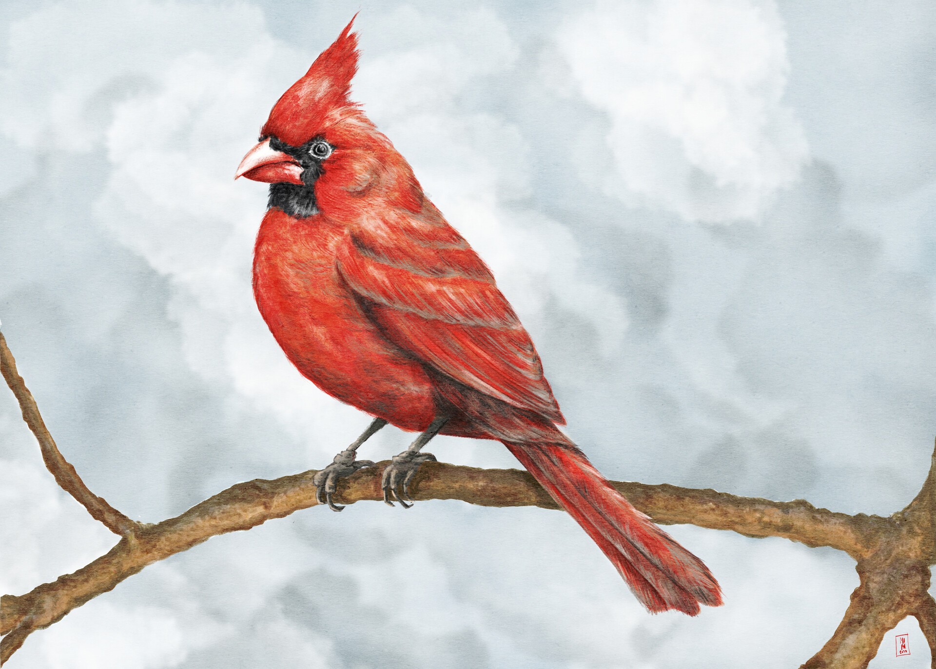 ArtStation - Red cardinal