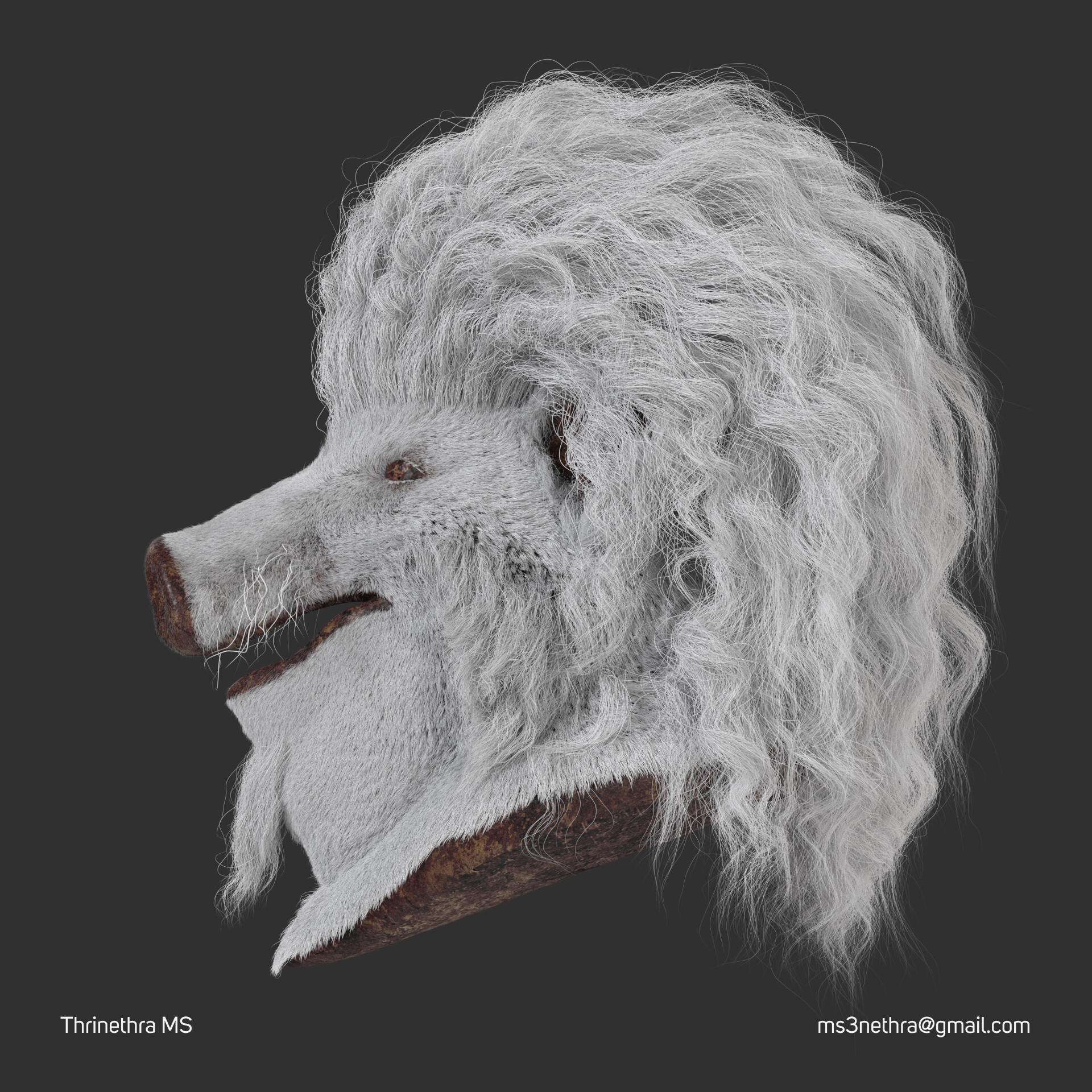 thrinethra ms - Houdini Groom Template