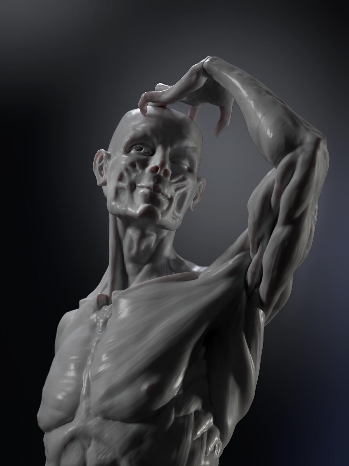ArtStation - Ecorche - Plastic anatomy