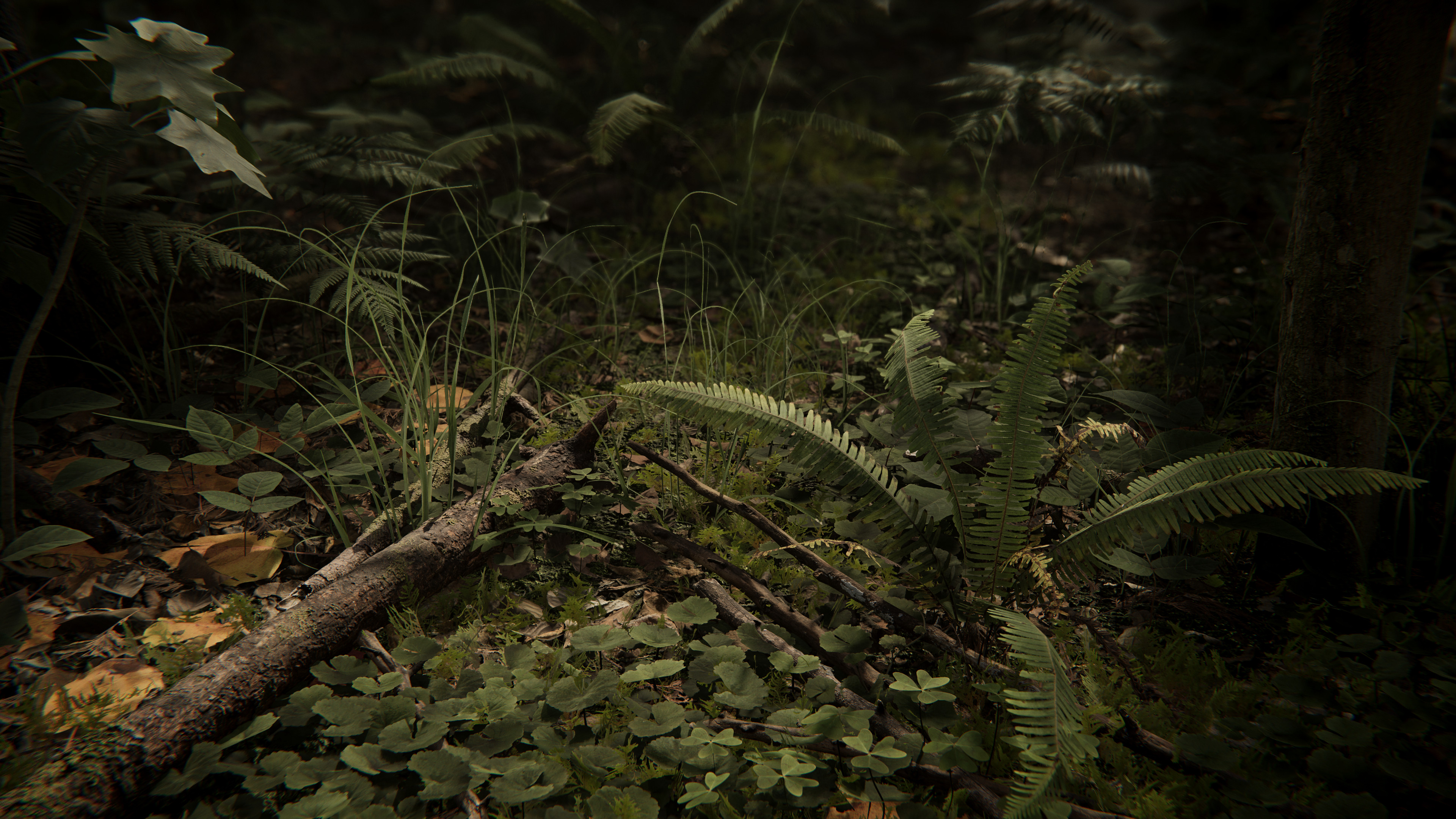 B. Paul - Mossy Cedrus Forest - 3D Models