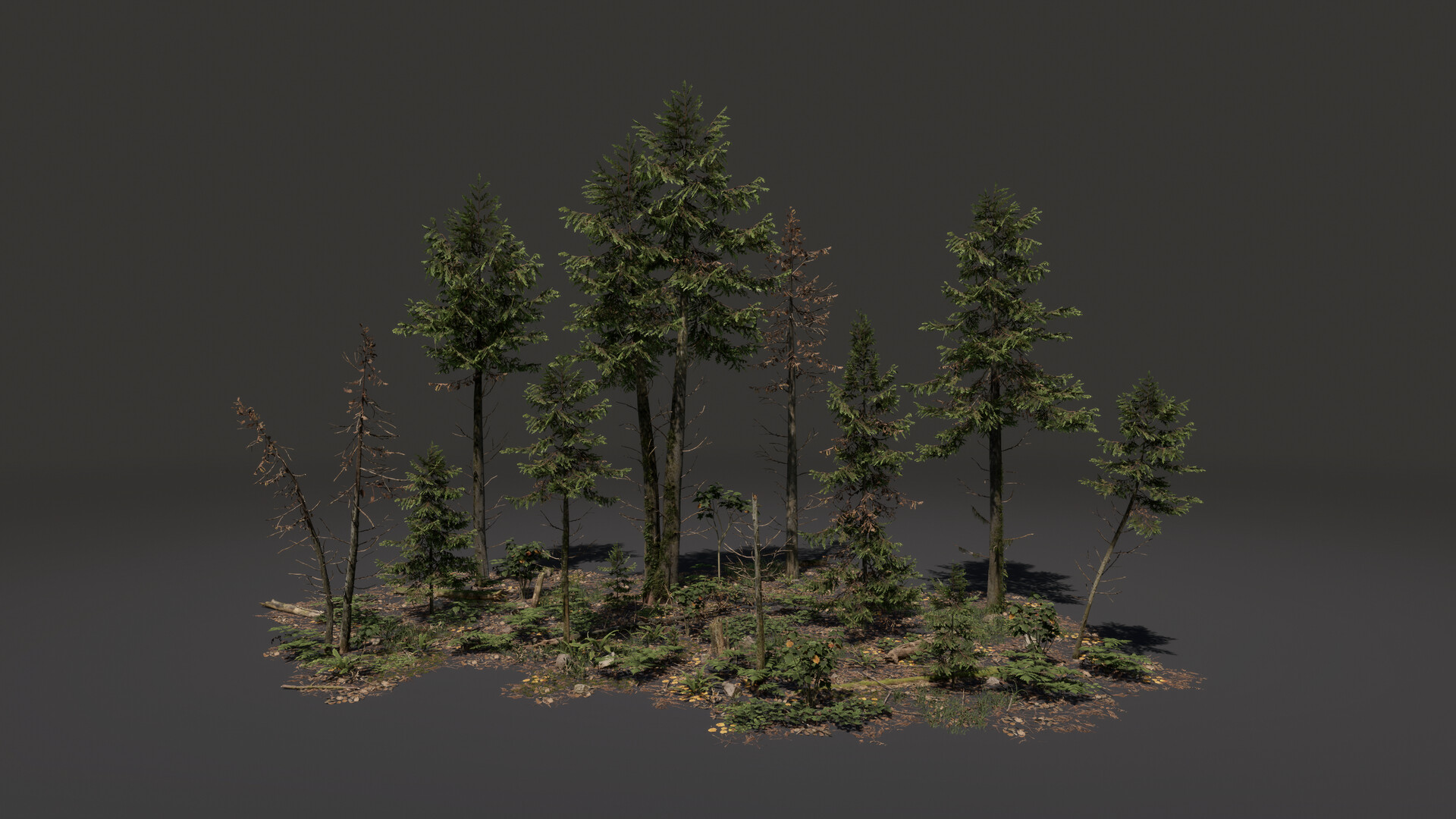 B. Paul - Mossy Cedrus Forest - 3D Models