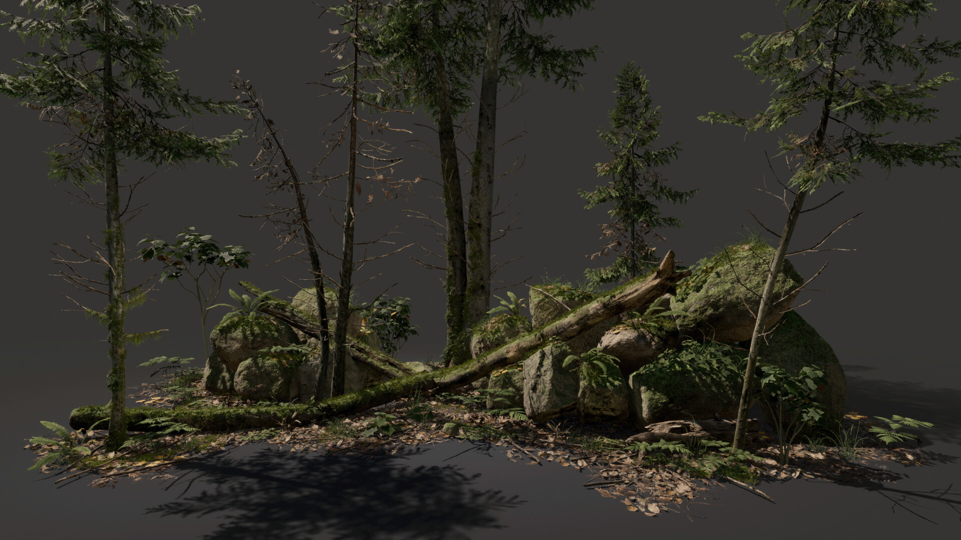 B. Paul - Mossy Cedrus Forest - 3D Models