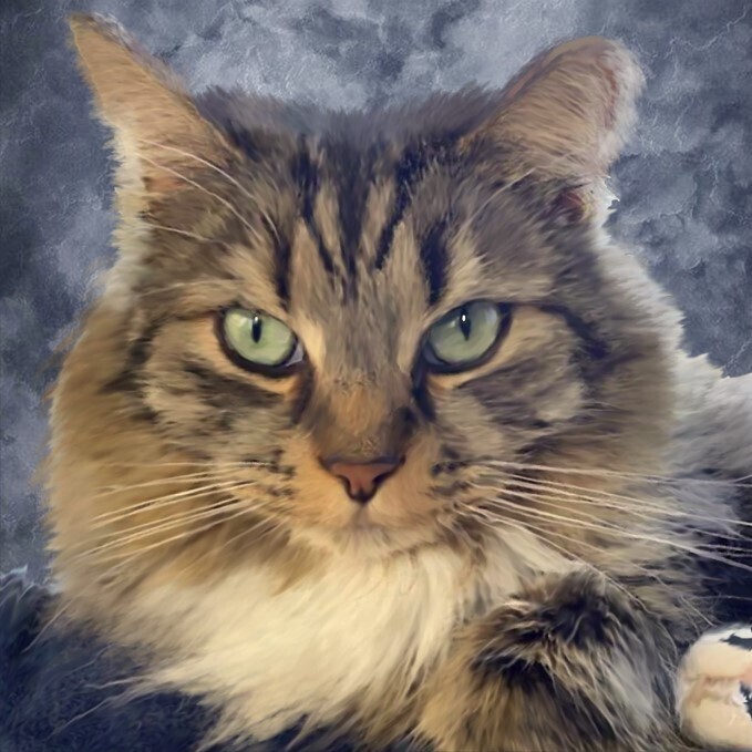 ArtStation - Cat Portrait