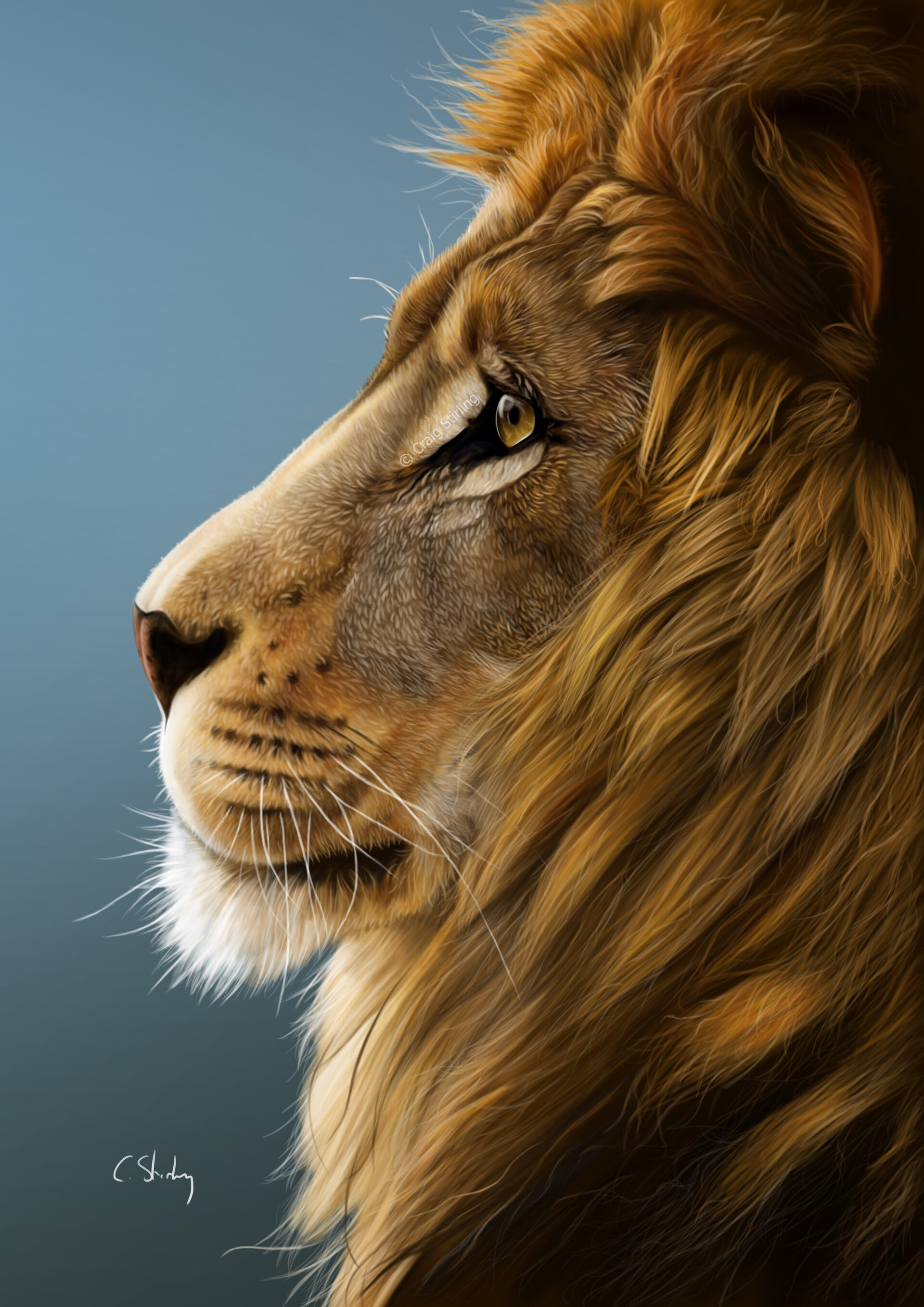 ArtStation - Lion Study 01