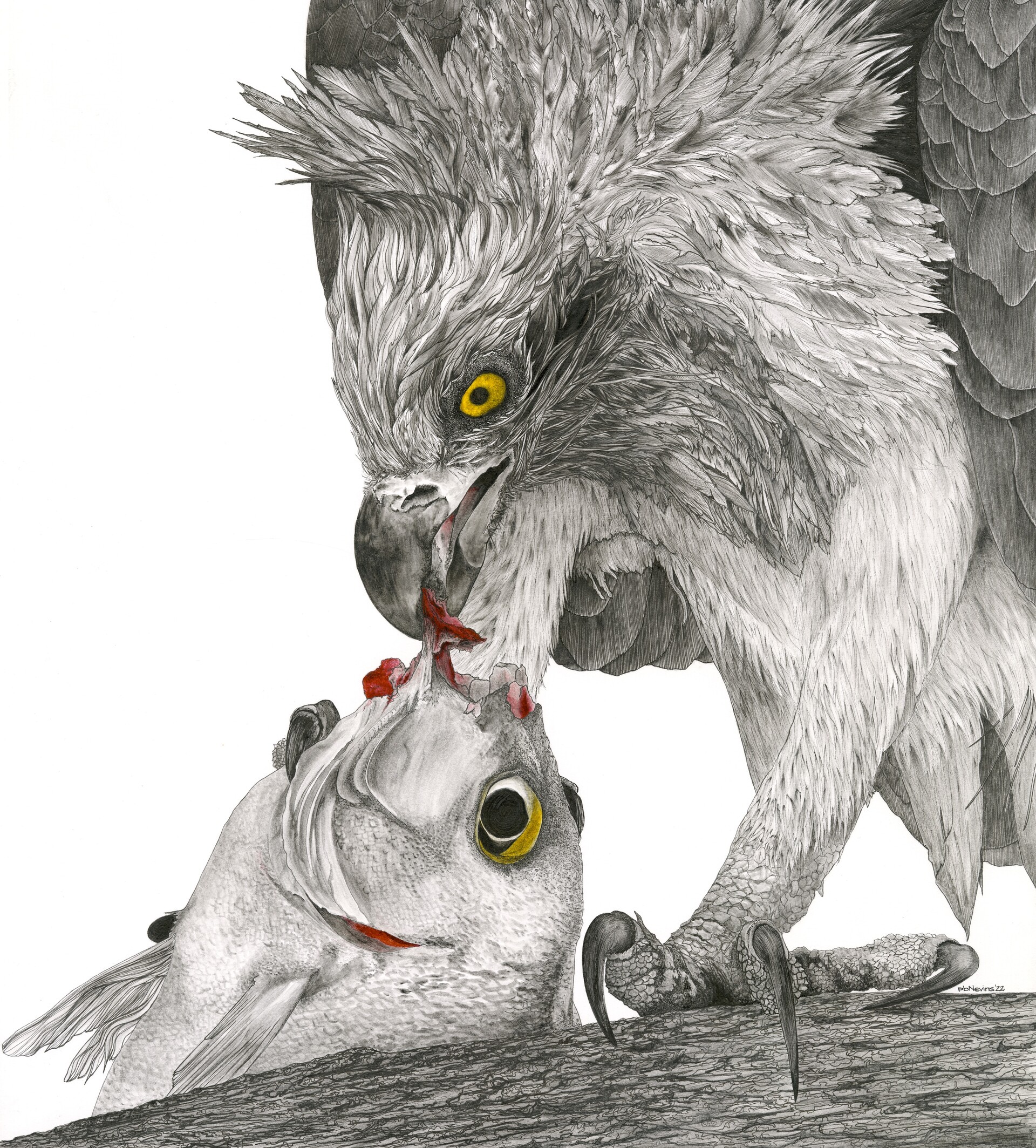 ArtStation - Indulgence