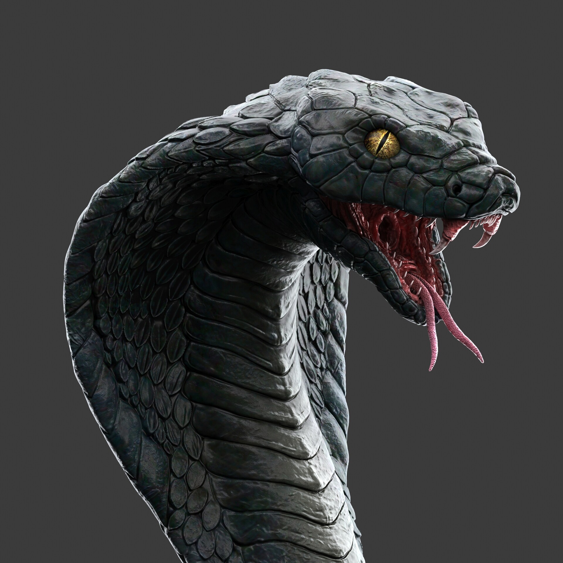 ArtStation - angry snake