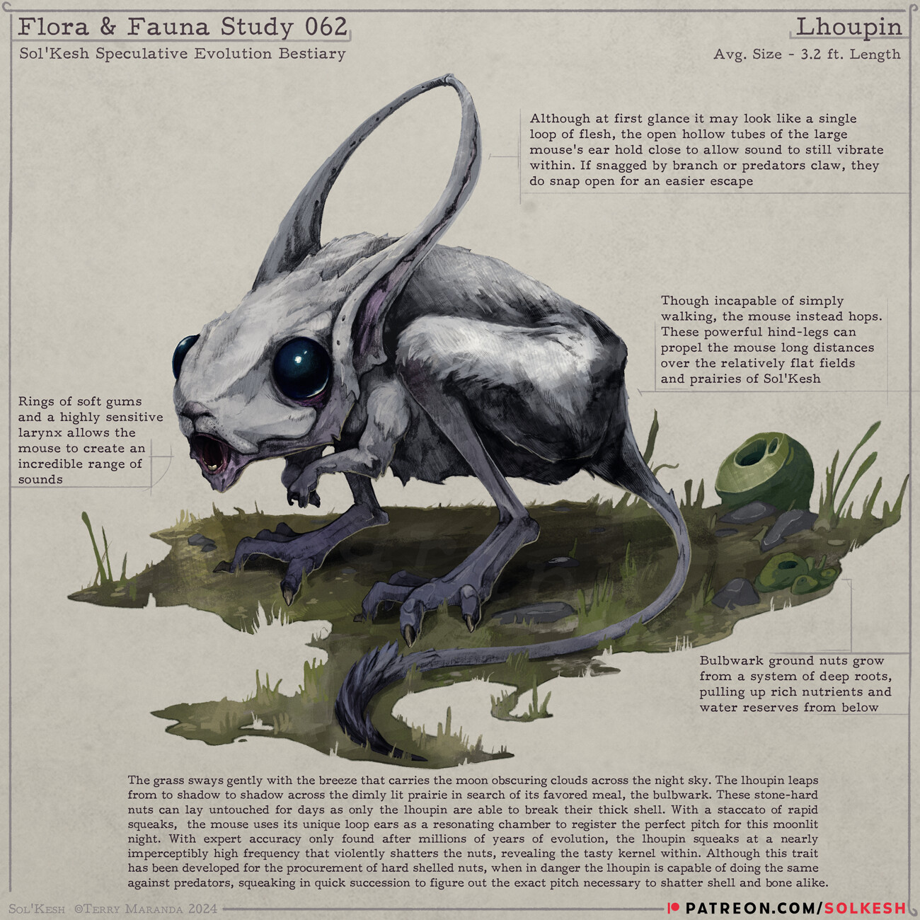 ArtStation - Creature Journal Lhoupin