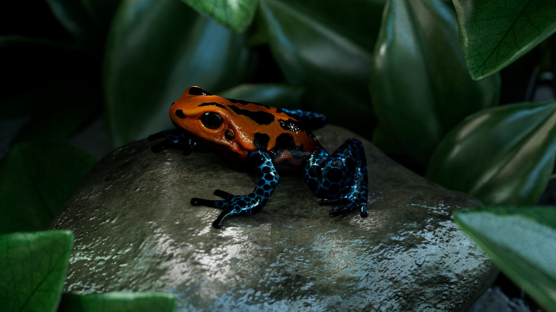 ArtStation - Poisonous frog