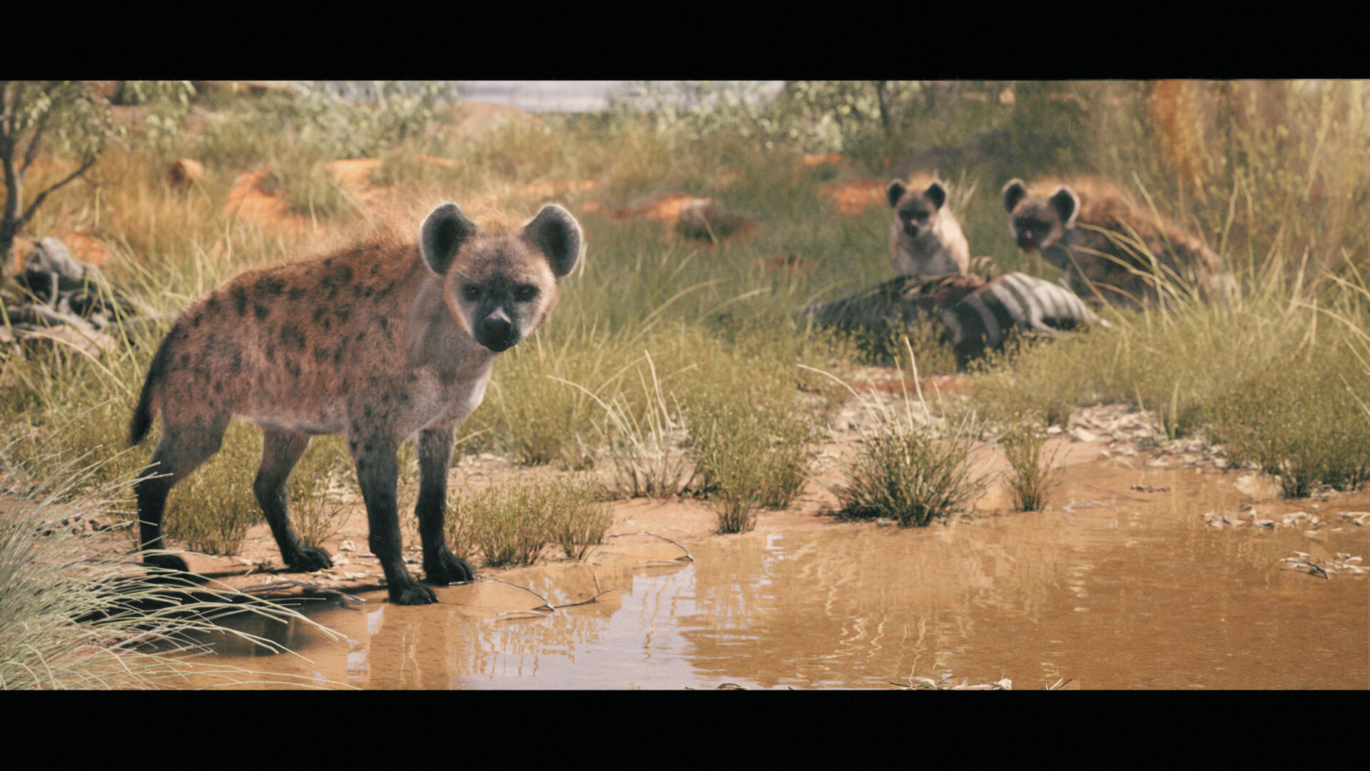 ArtStation - The Pack - Creature Study: Spotted Hyenas