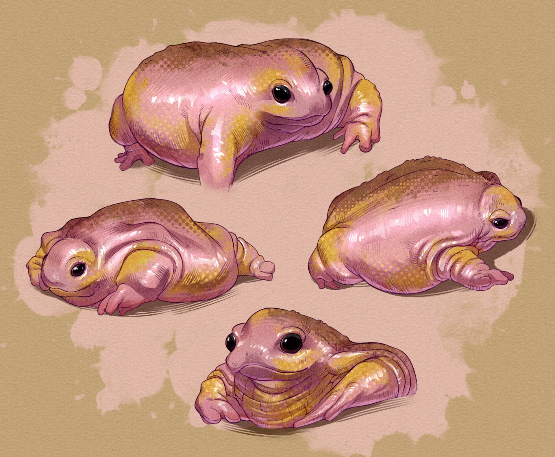 ArtStation - Turtle Frog Sketches