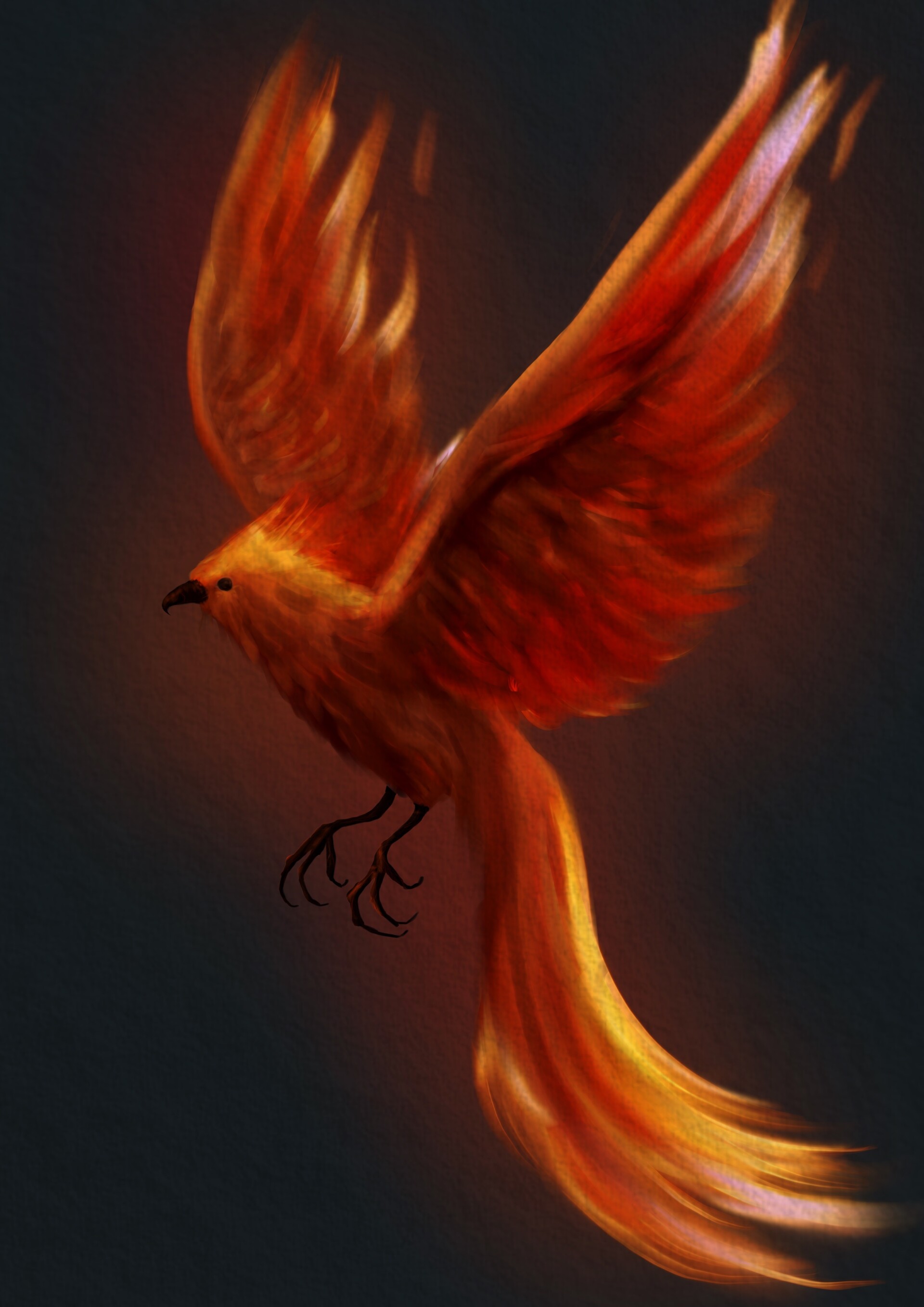 ArtStation - Fire phoenix