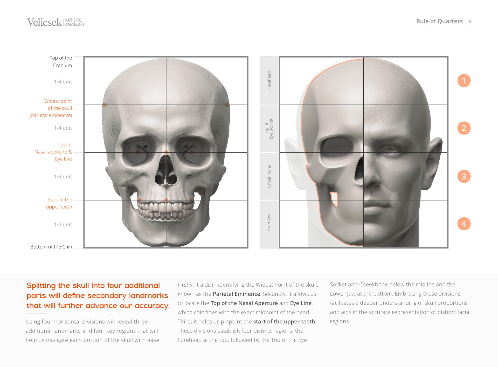 Gusztav Velicsek - Visual Reference of the Human Skull (Free E-book)