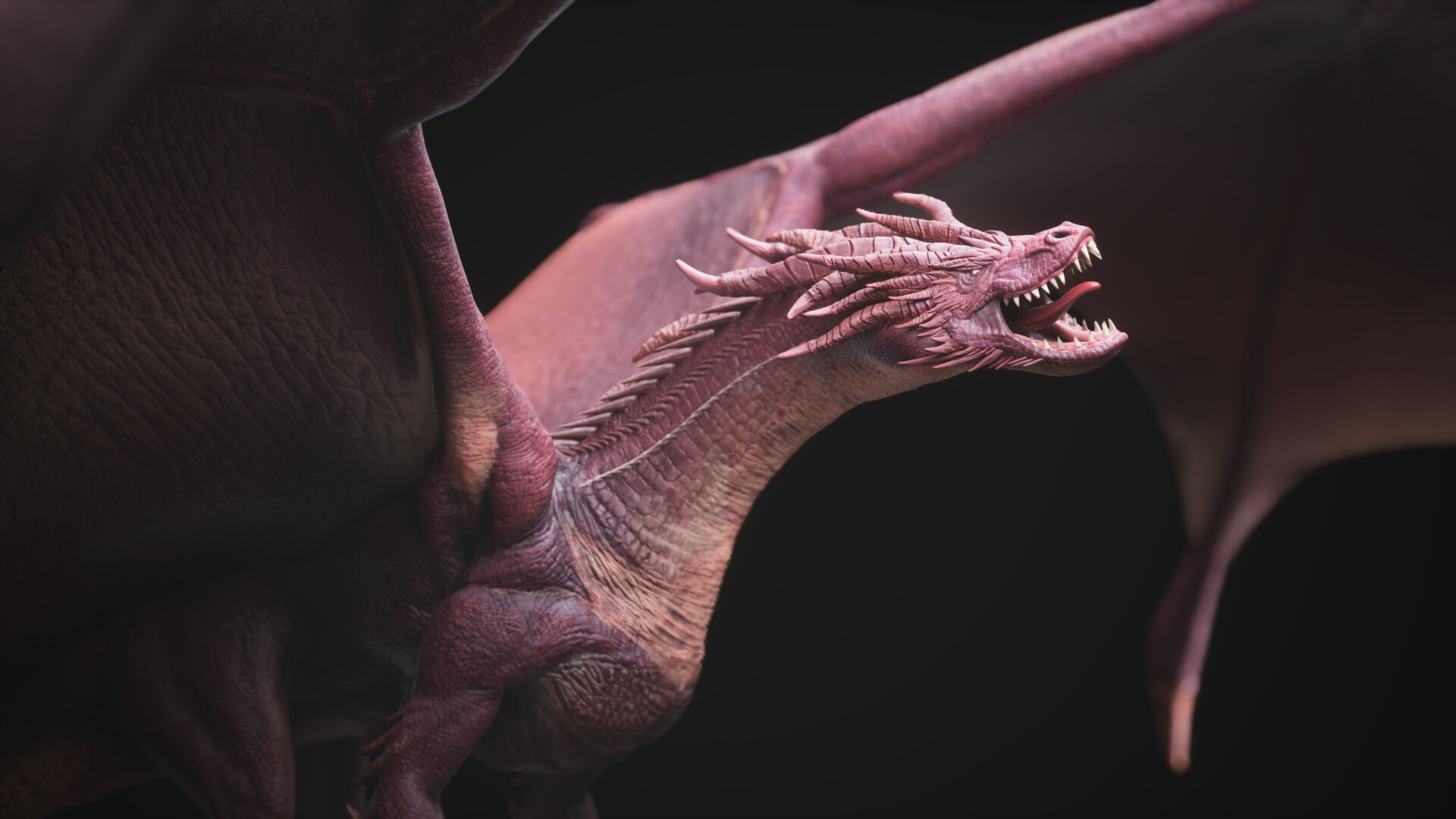 Korman Nagaru - Dragon Flight - Animation