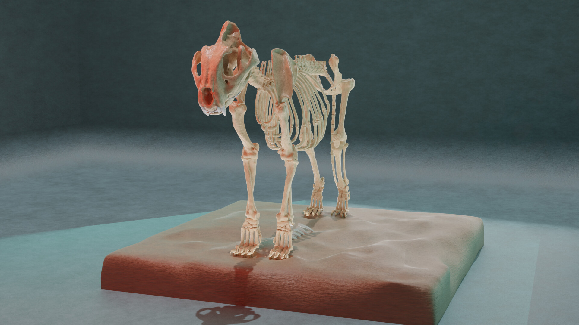 ArtStation - Lion Skeleton