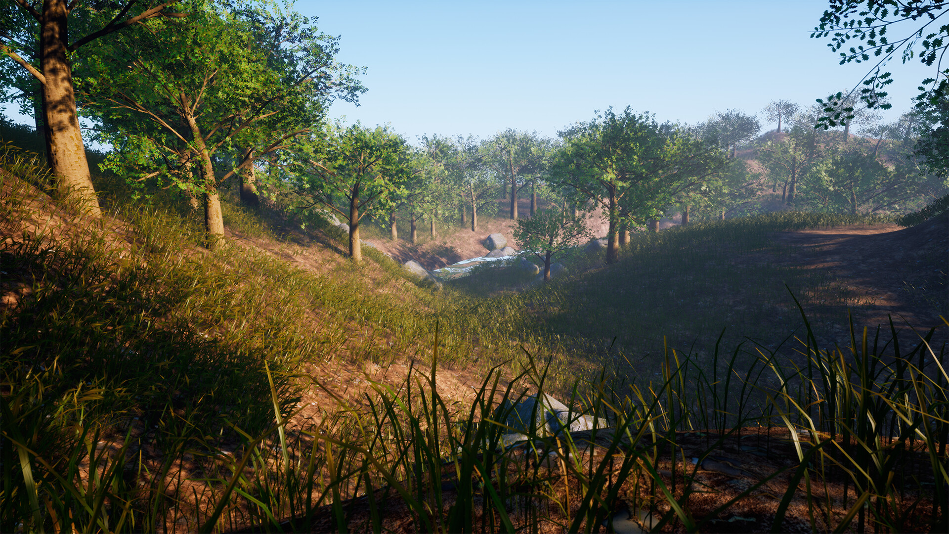 ArtStation - Forest Hollow