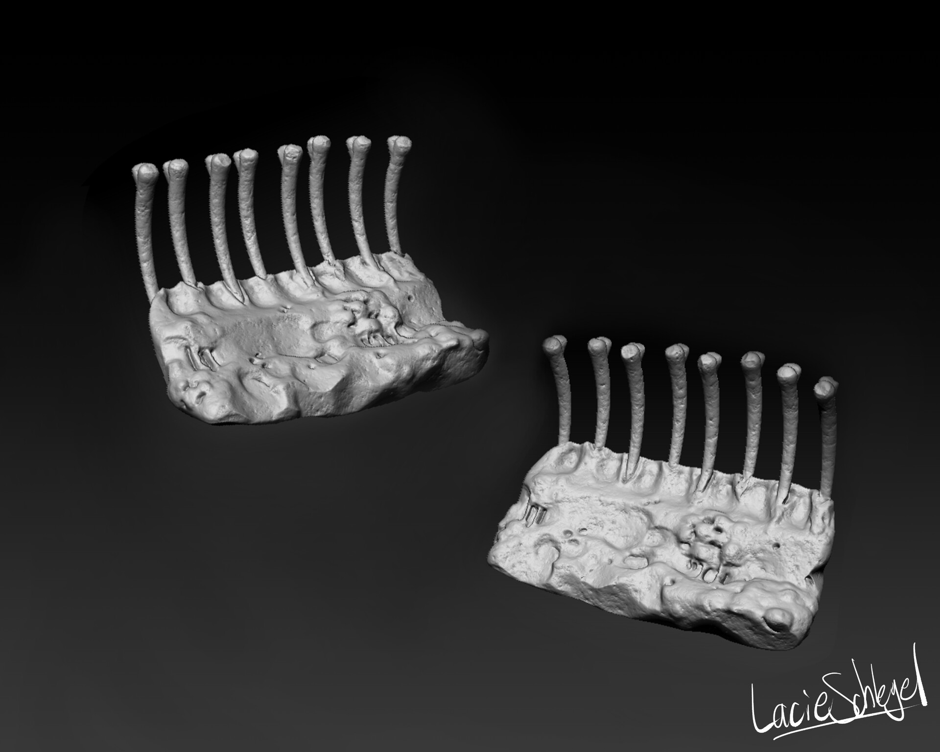 Lacie Schlegel - Meat Hellscape Props