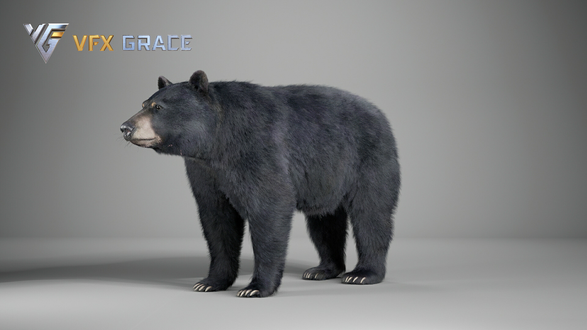 VFX models - American BlackBear UE Character Asset