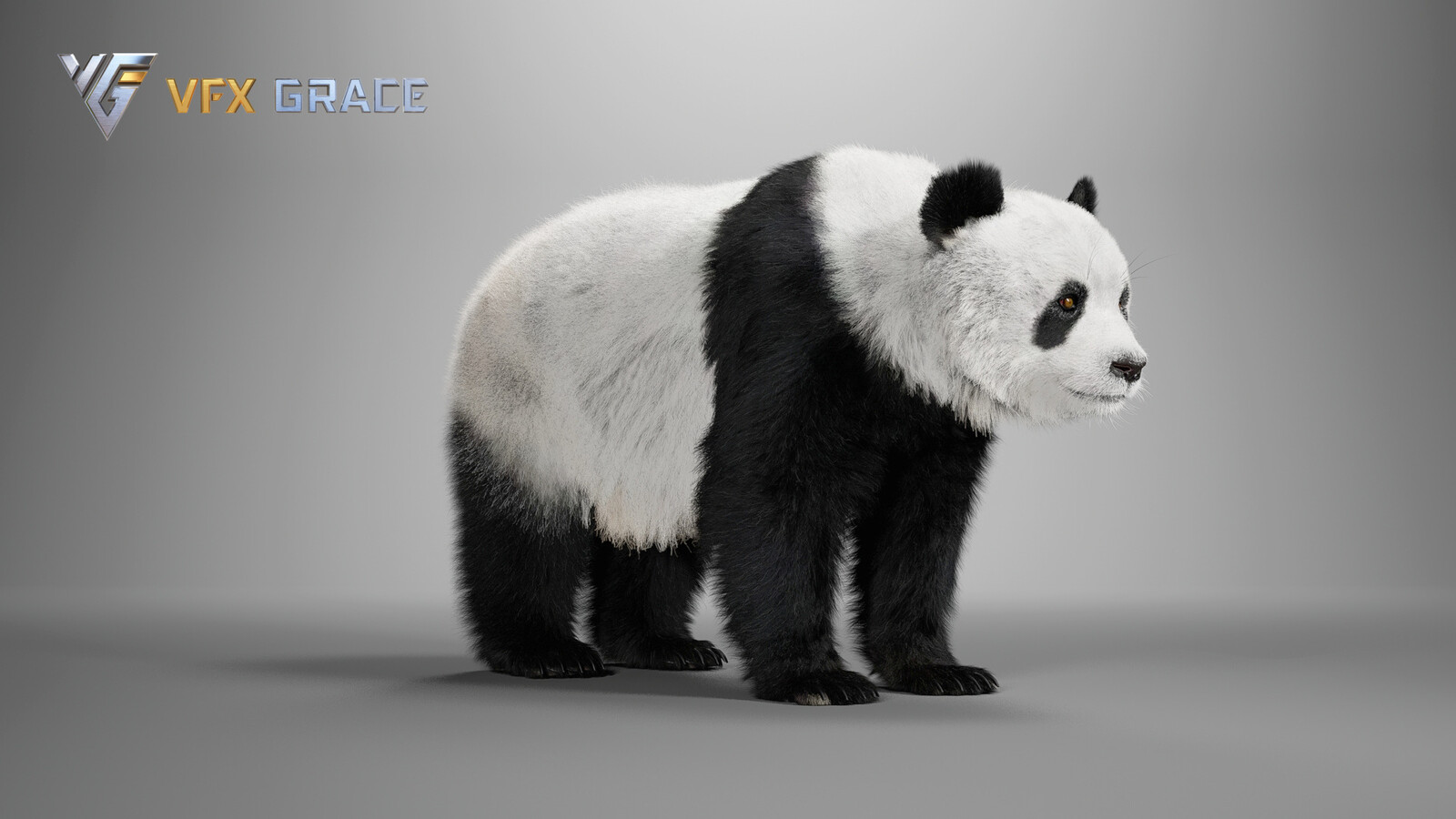 VFX models - Panda - UE Character Asset