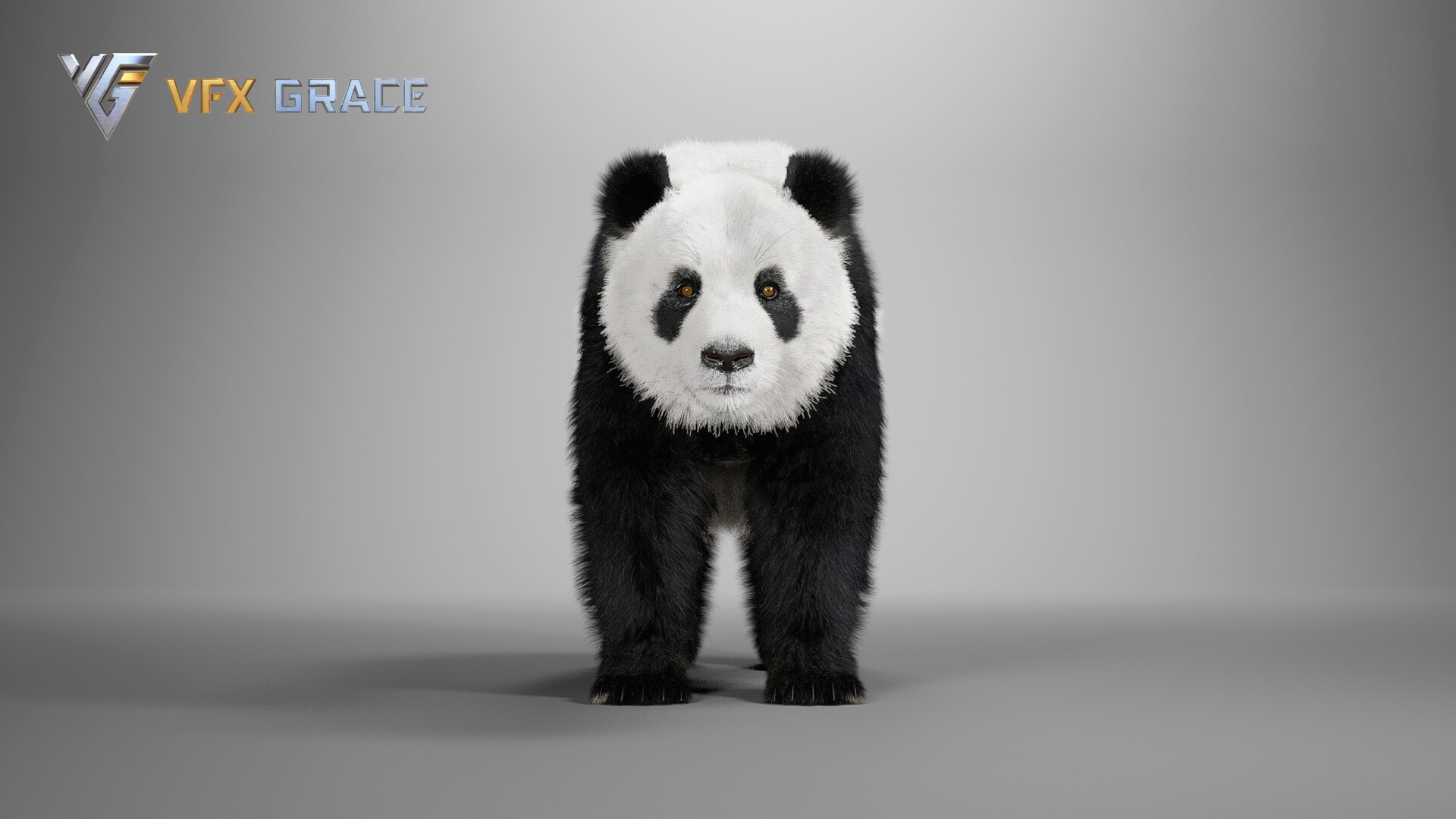 VFX models - Panda - UE Character Asset