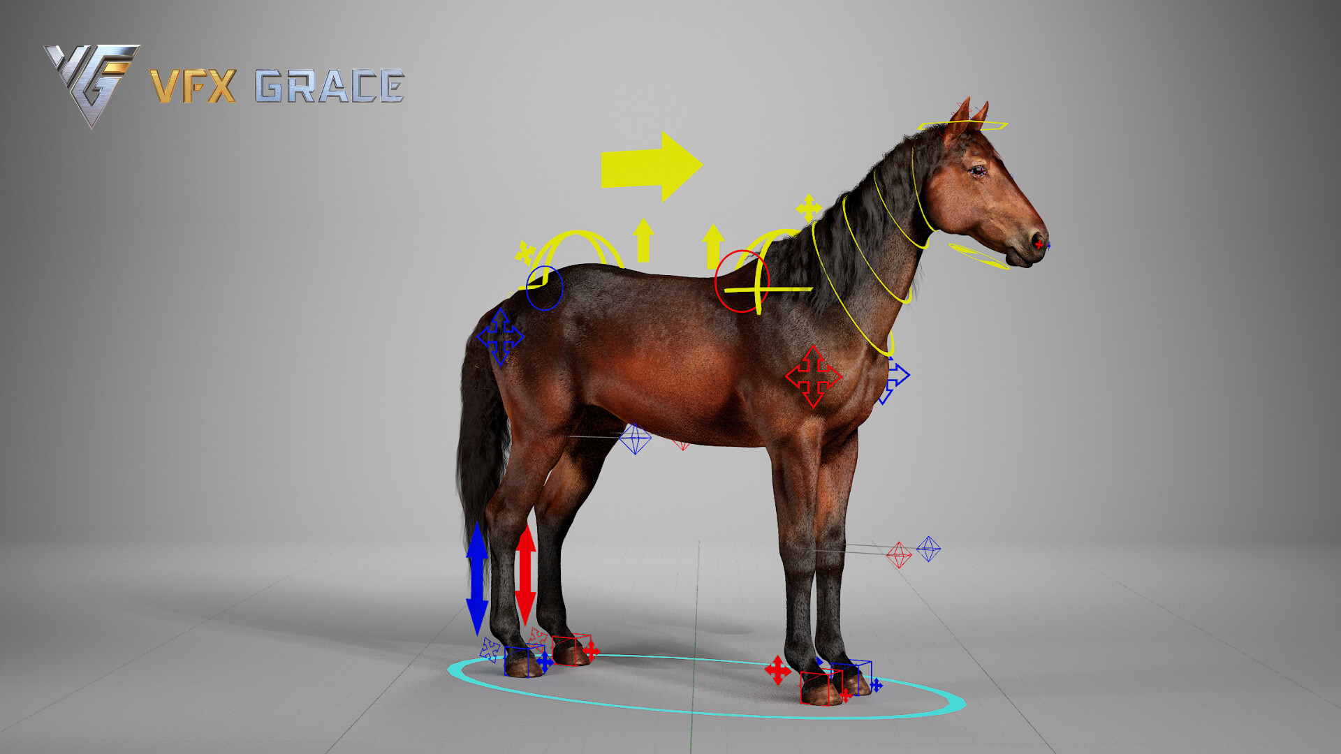VFX models - Horse Brown - UE Character Asset