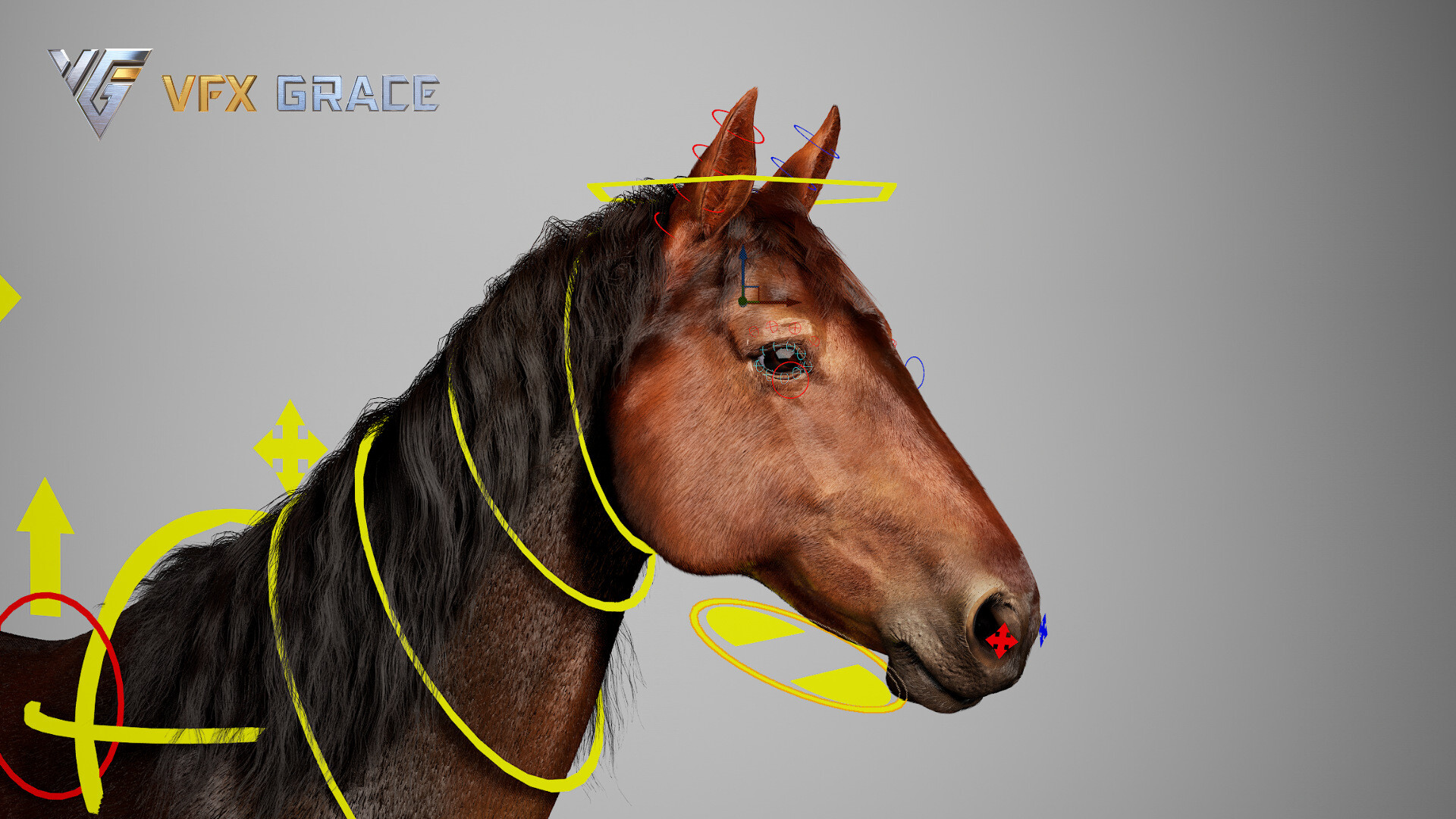 VFX models - Horse Brown - UE Character Asset