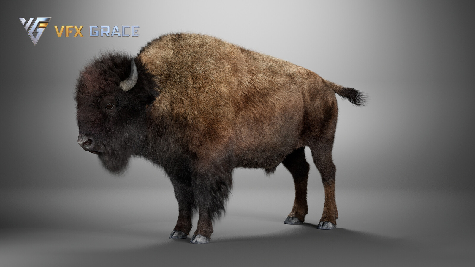 VFX models - Bison Male - UE Character Asset