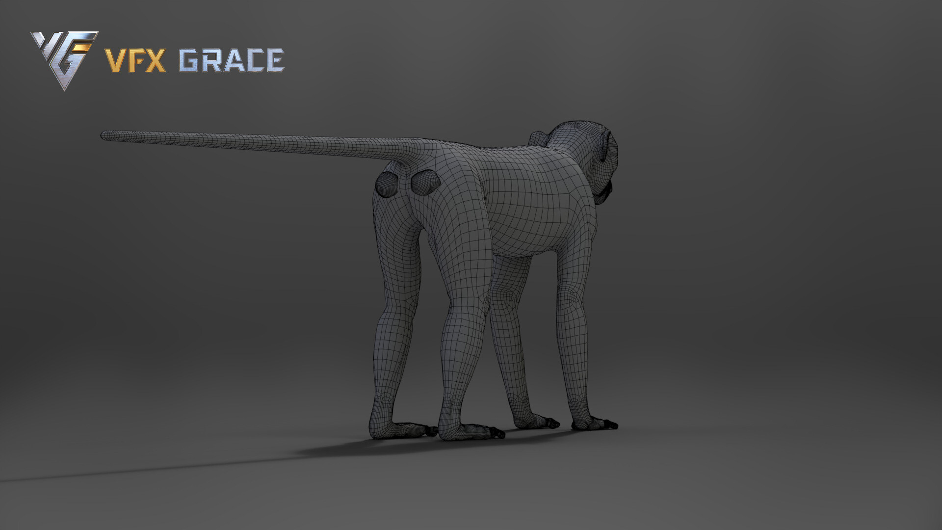 VFX models - Vervet Monkeys - UE Character Asset