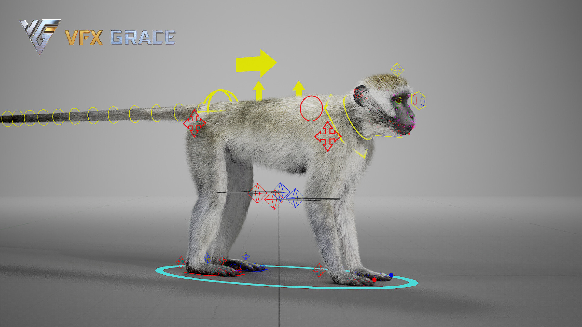 VFX models - Vervet Monkeys - UE Character Asset