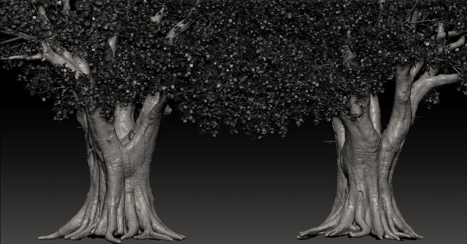 ArtStation - TREE SCULPT