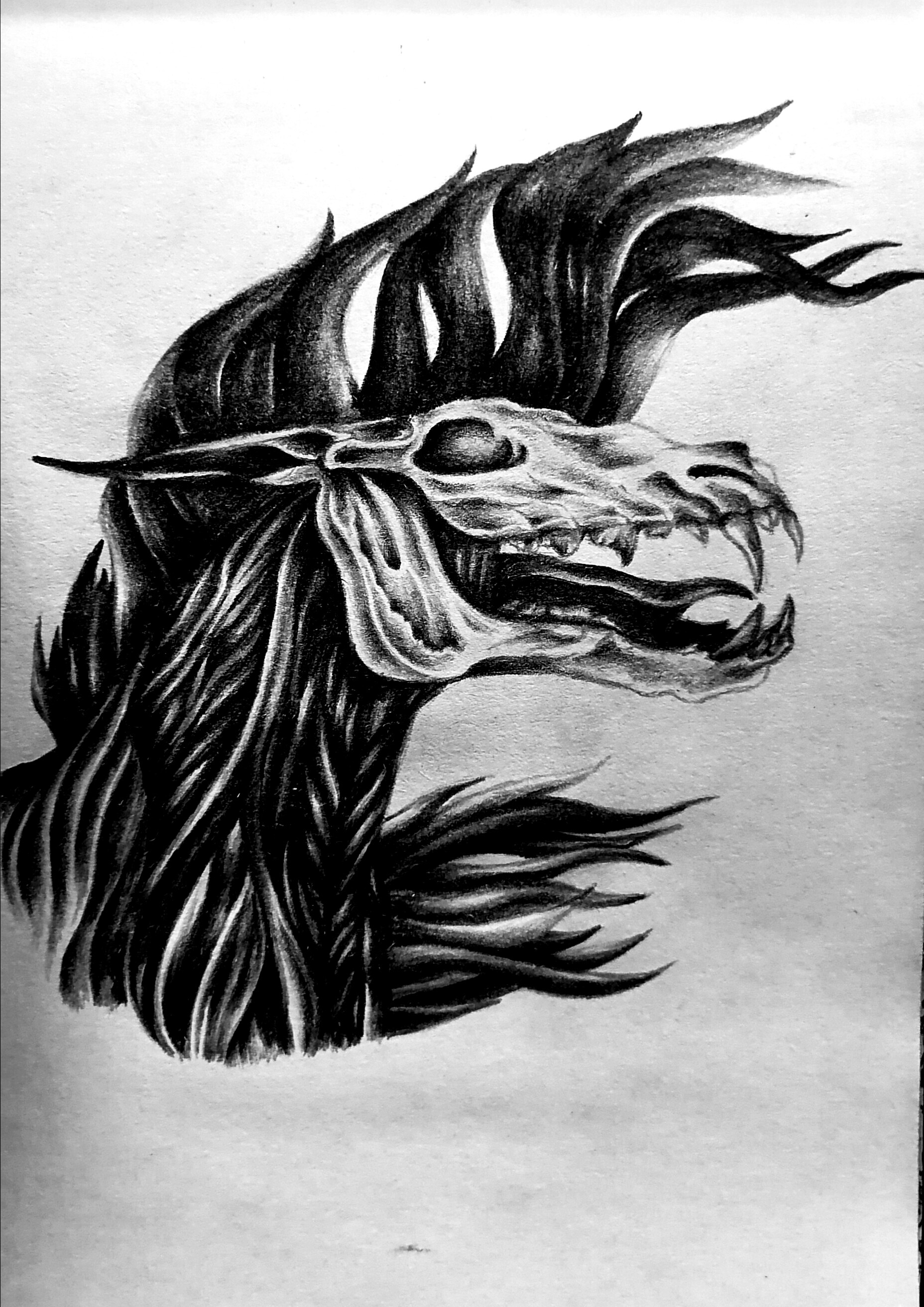 Denlika - 2 collection of graphic sketches